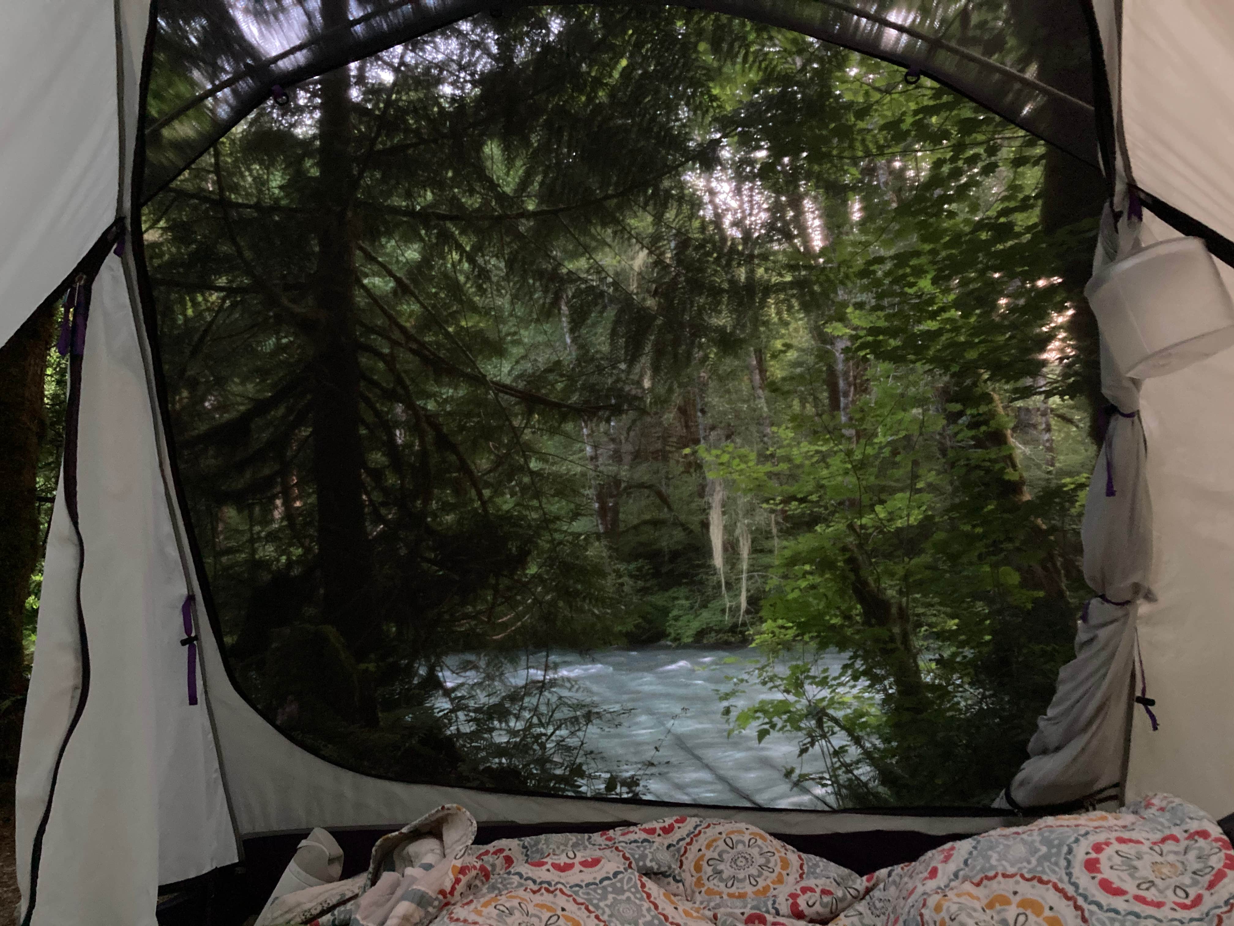 Blue River Reservoir Roadside Camping | Blue River, OR