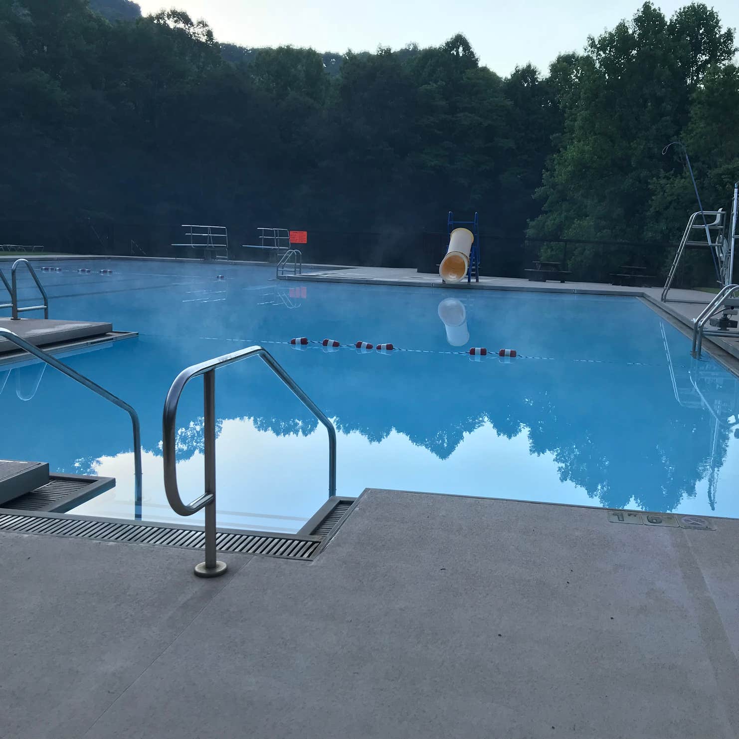 Roan Mountain State Park Camping | The Dyrt