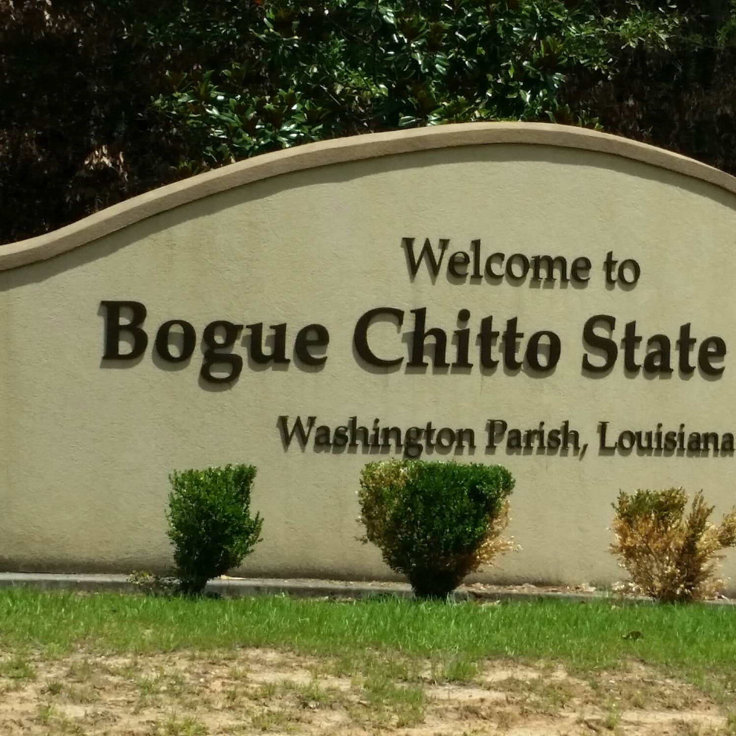 Bogue Chitto State Park Camping | The Dyrt