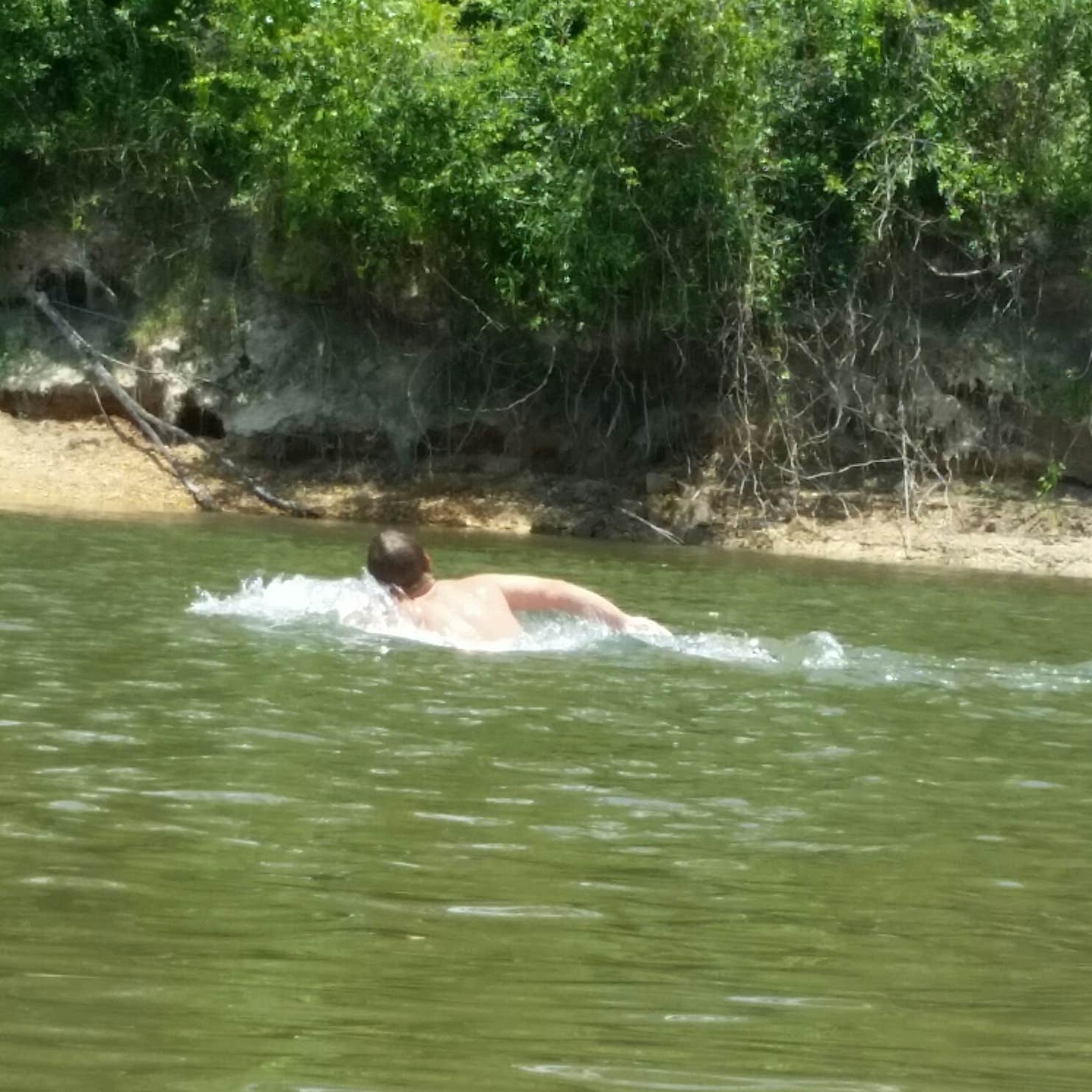 Bogue Chitto State Park Camping | The Dyrt