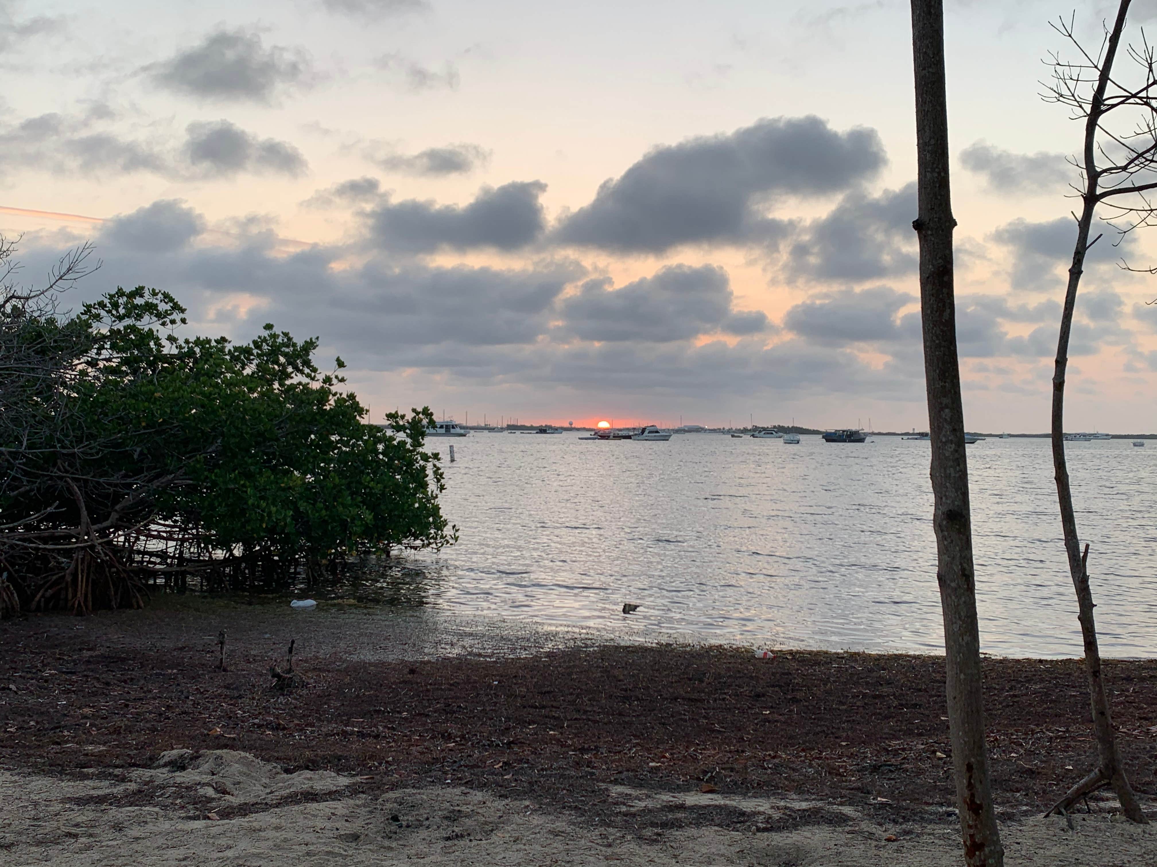 Boyd's Key West Campground | The Dyrt