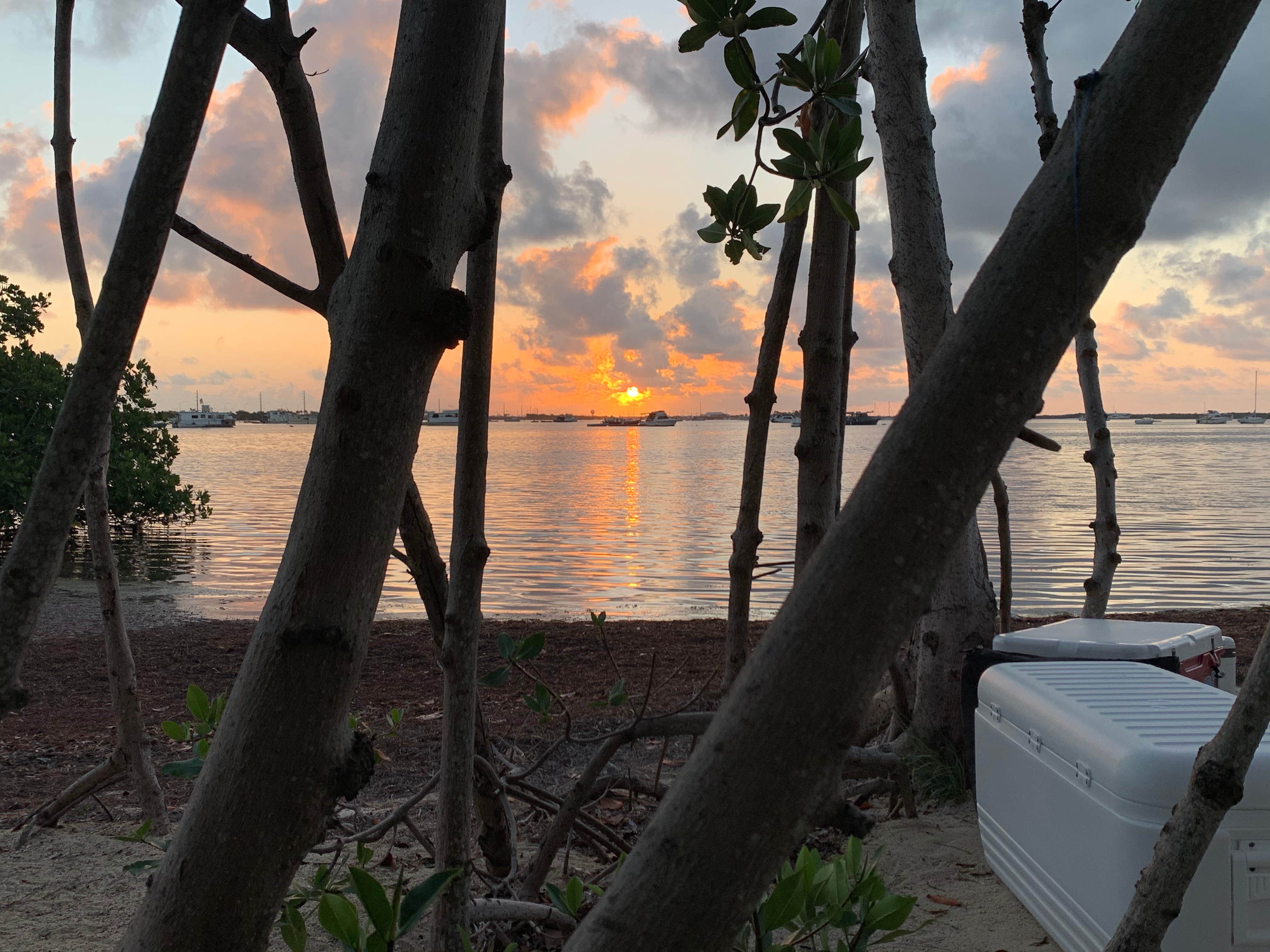 Boyd's Key West Campground | The Dyrt