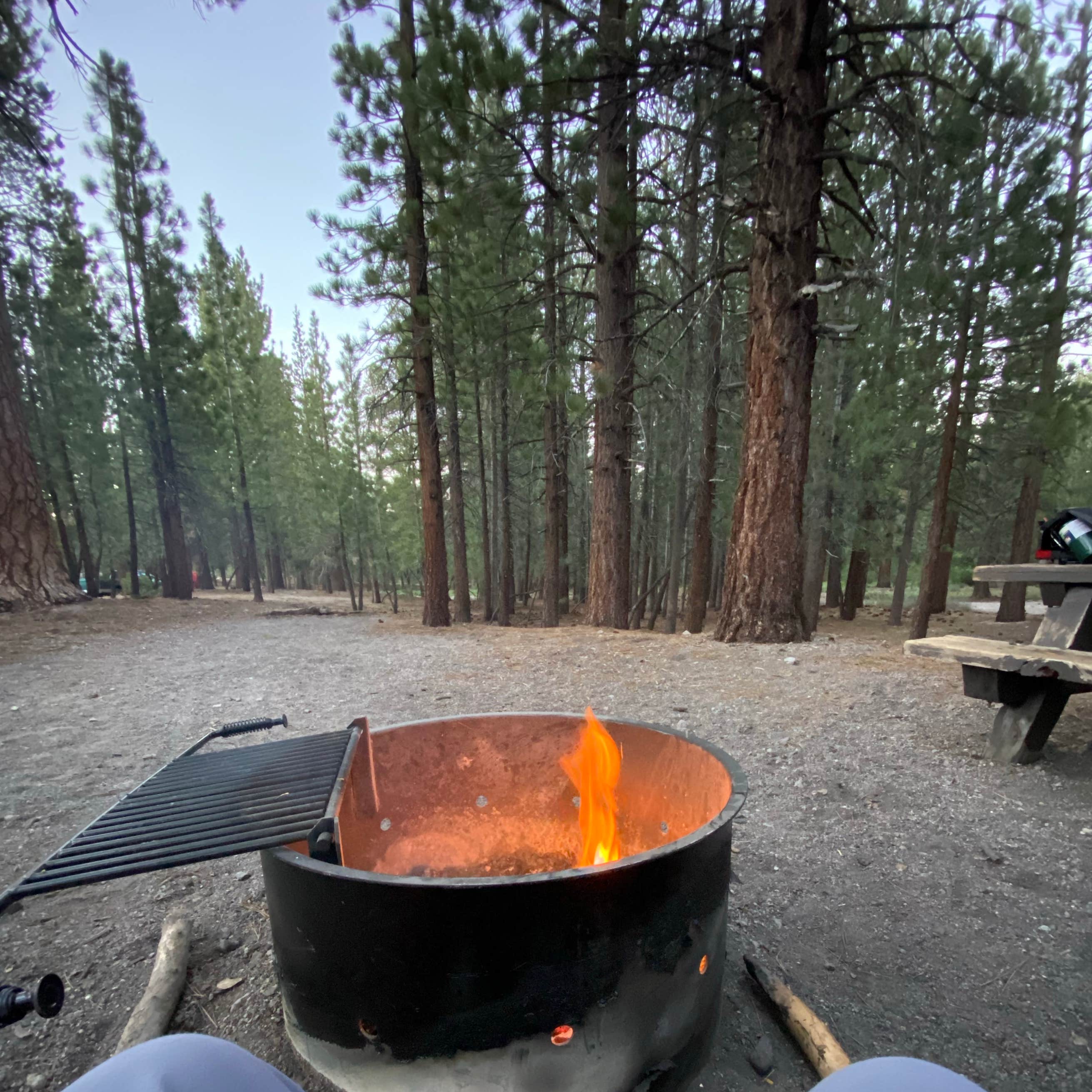 Upper Deadman Creek Camping | Devils Postpile National Monument, California