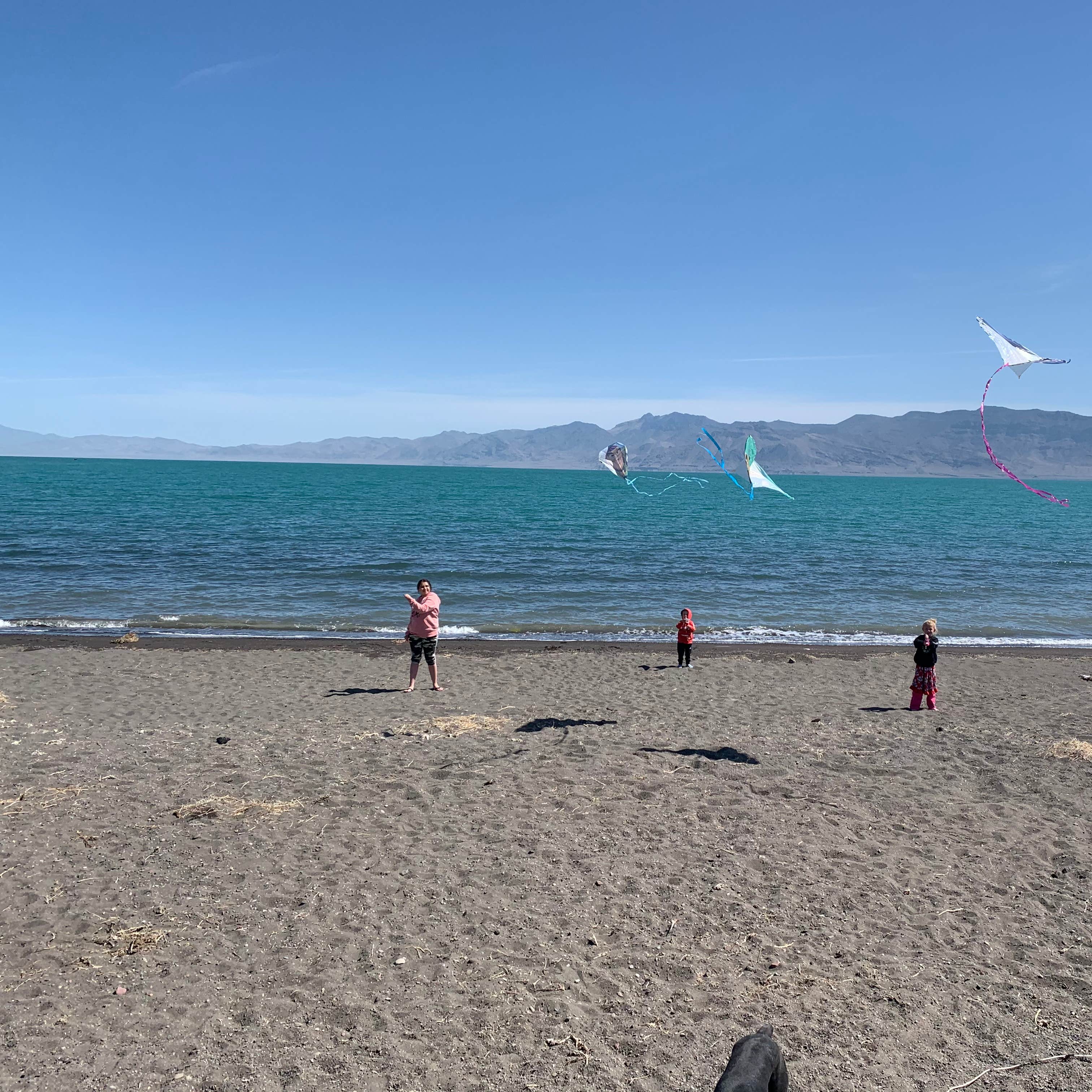 Pyramid Lake Marina and RV Park | Sutcliffe, NV