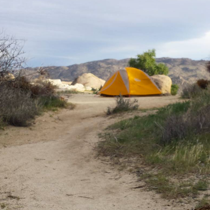 Culp Valley Primitive Campground Camping | The Dyrt