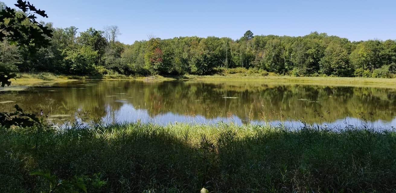 Spider Lake Trail - Dispersed Camping | Hackensack, MN