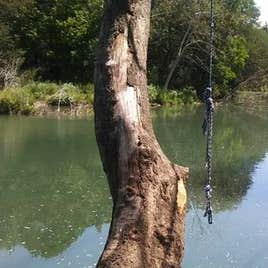 Blue River Campground Camping | The Dyrt