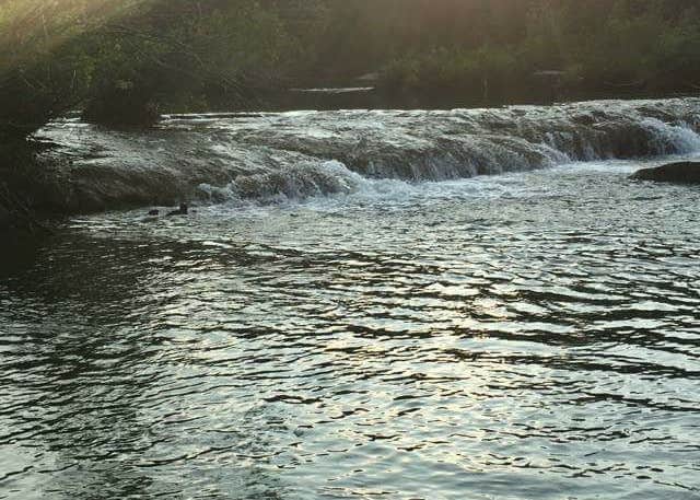 Blue River Campground Camping | The Dyrt