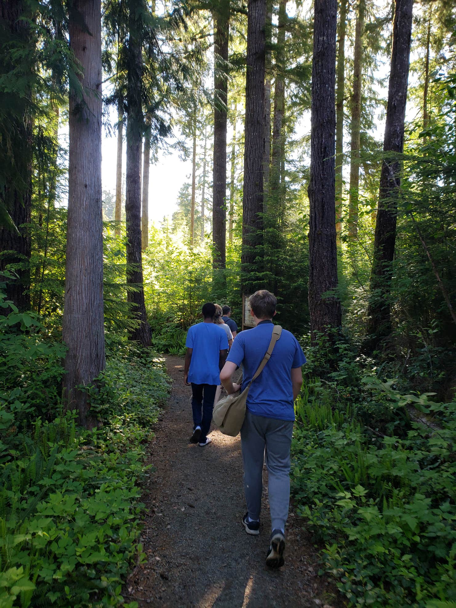 Willaby Campground | The Dyrt