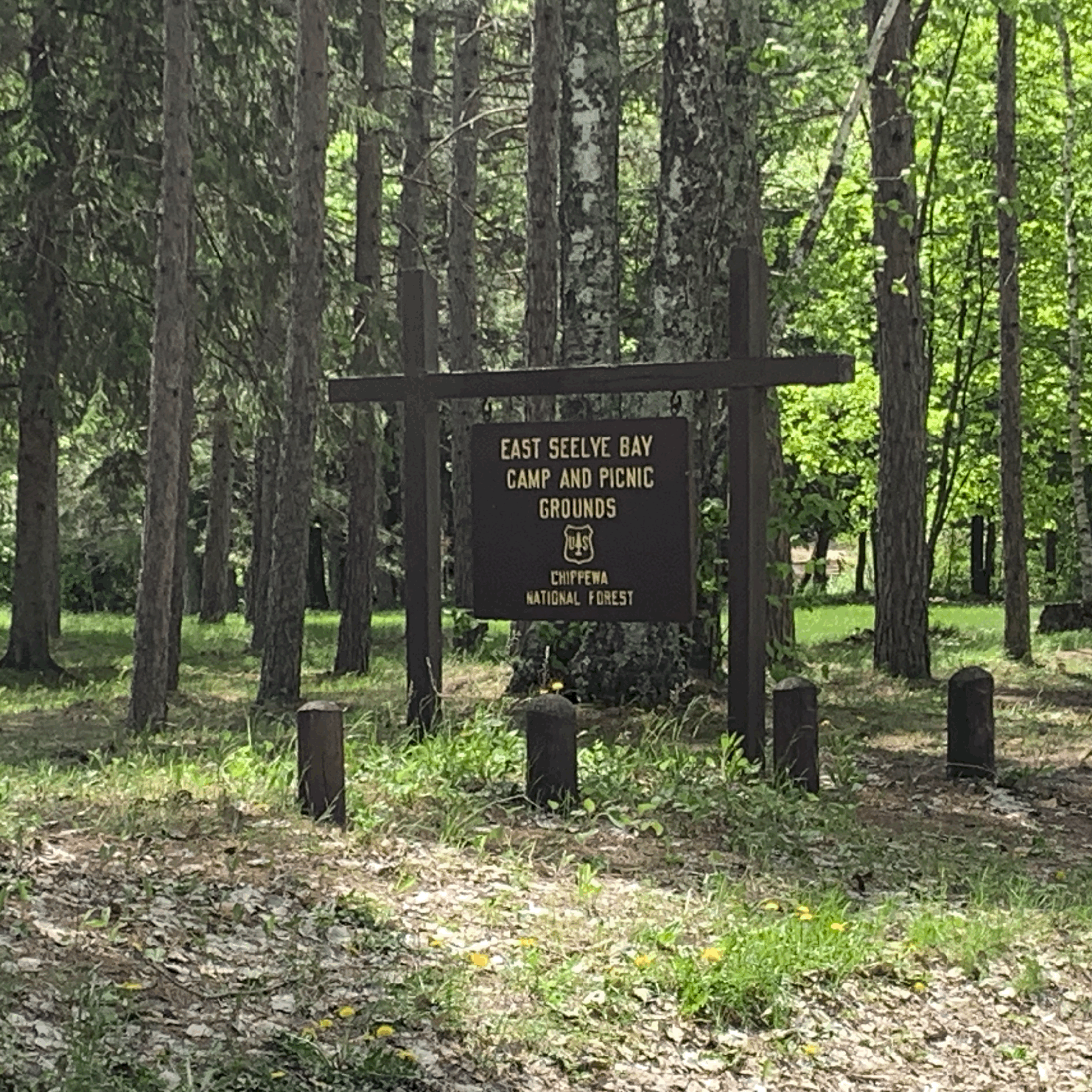 East Seelye Bay Campground | Wirt, Minnesota
