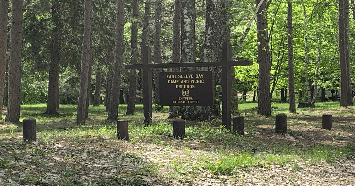 East Seelye Bay Campground | Wirt, Minnesota