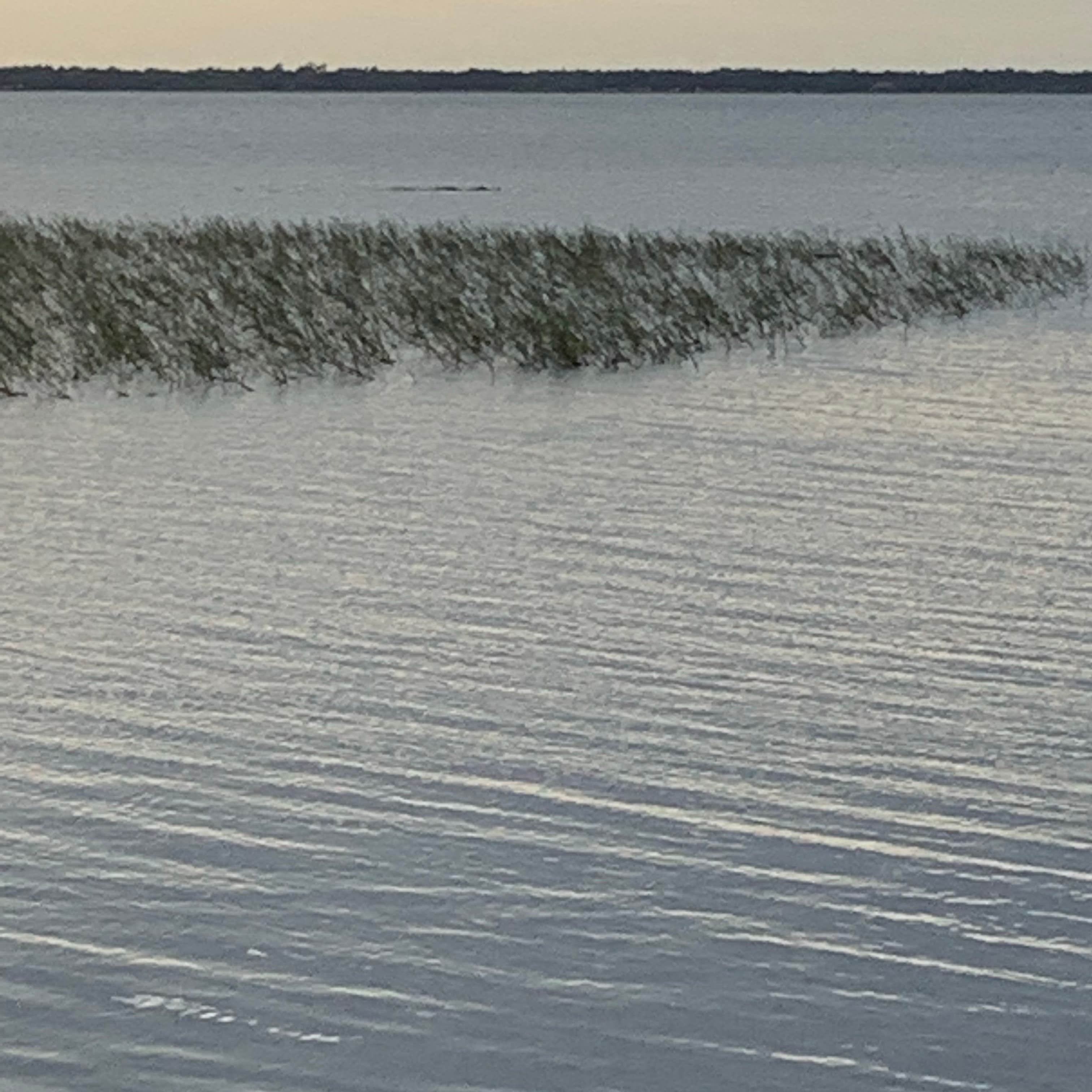 Lake Rosalie Campground Camping | The Dyrt