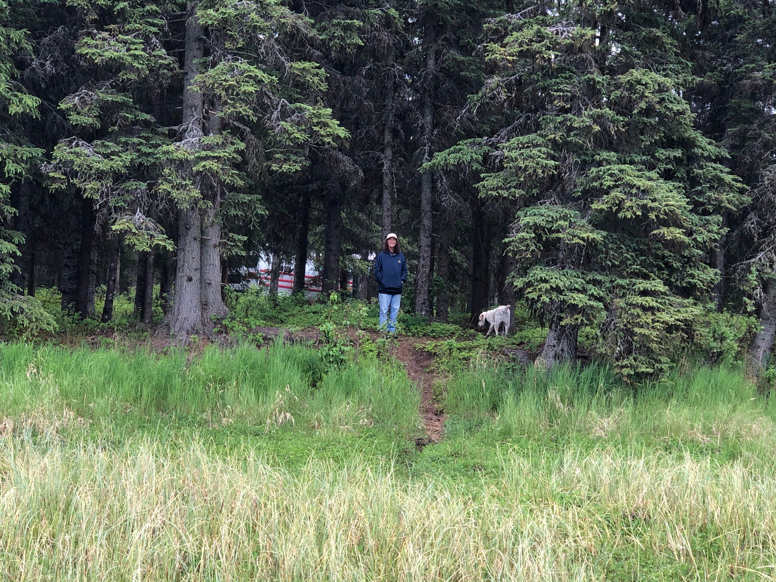 Tustamena Lake Campground Camping | The Dyrt