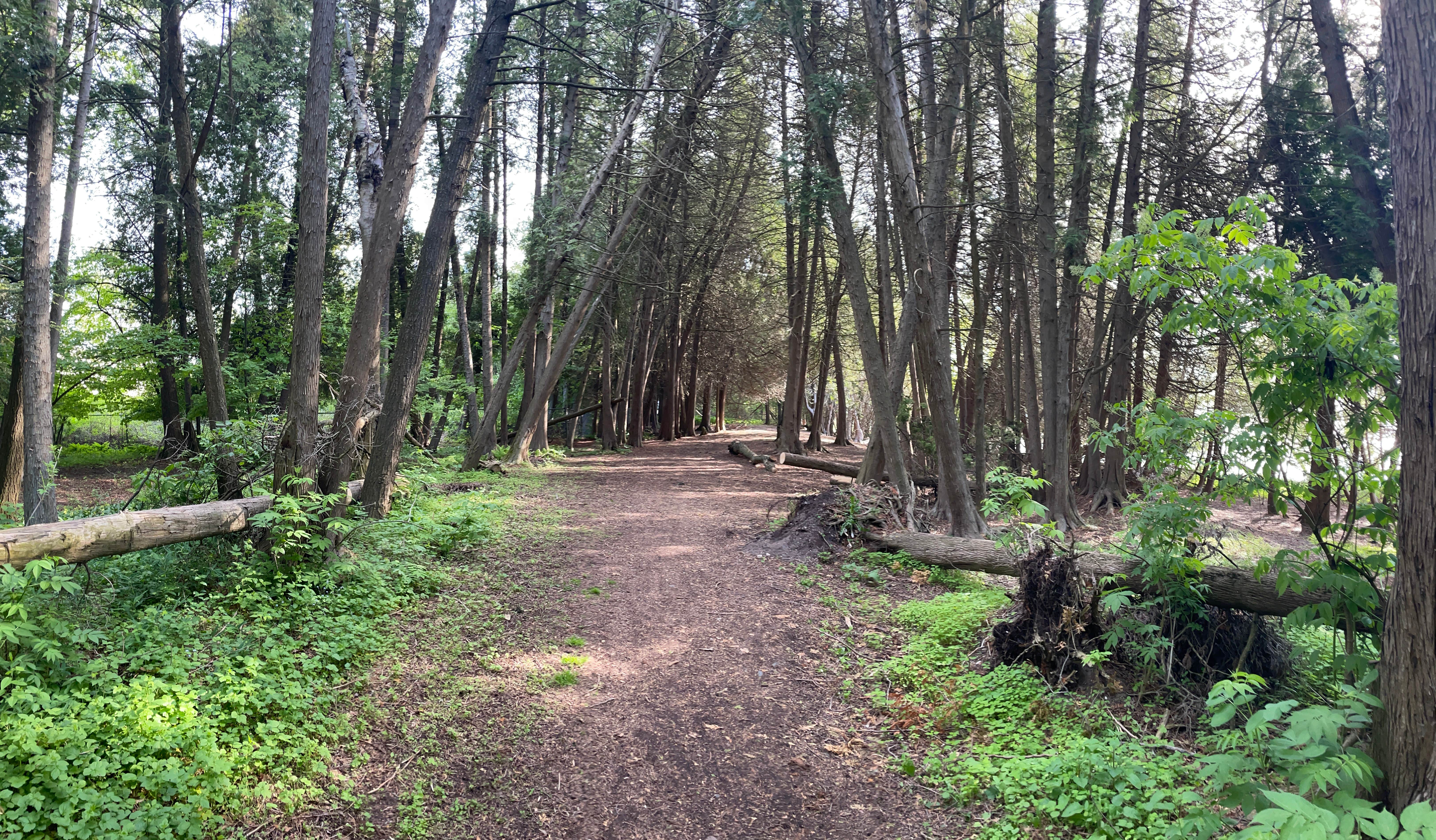 Harrisville State Park | The Dyrt