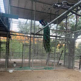 Steckel Park Camping | The Dyrt