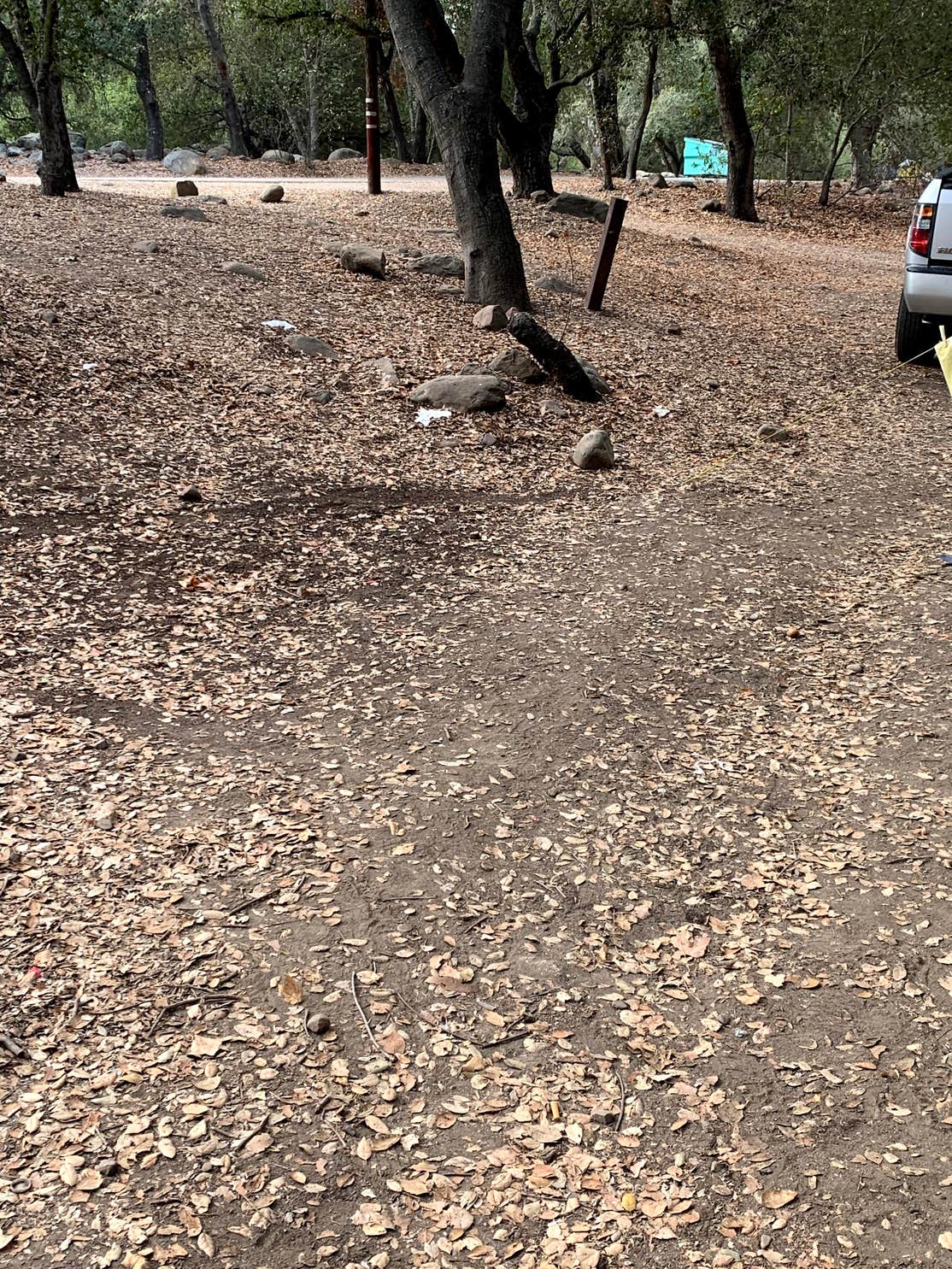 Steckel Park Camping | The Dyrt