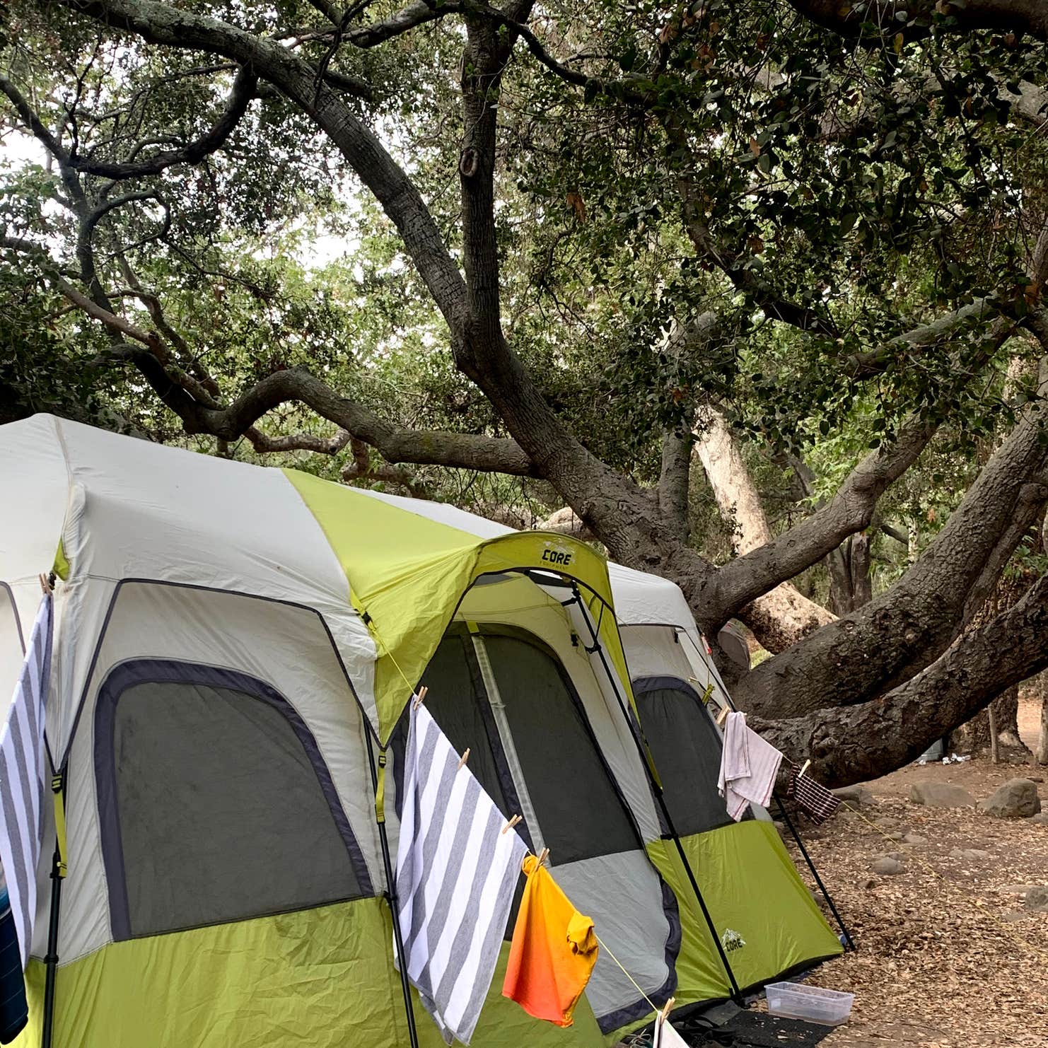 Steckel Park Camping | The Dyrt