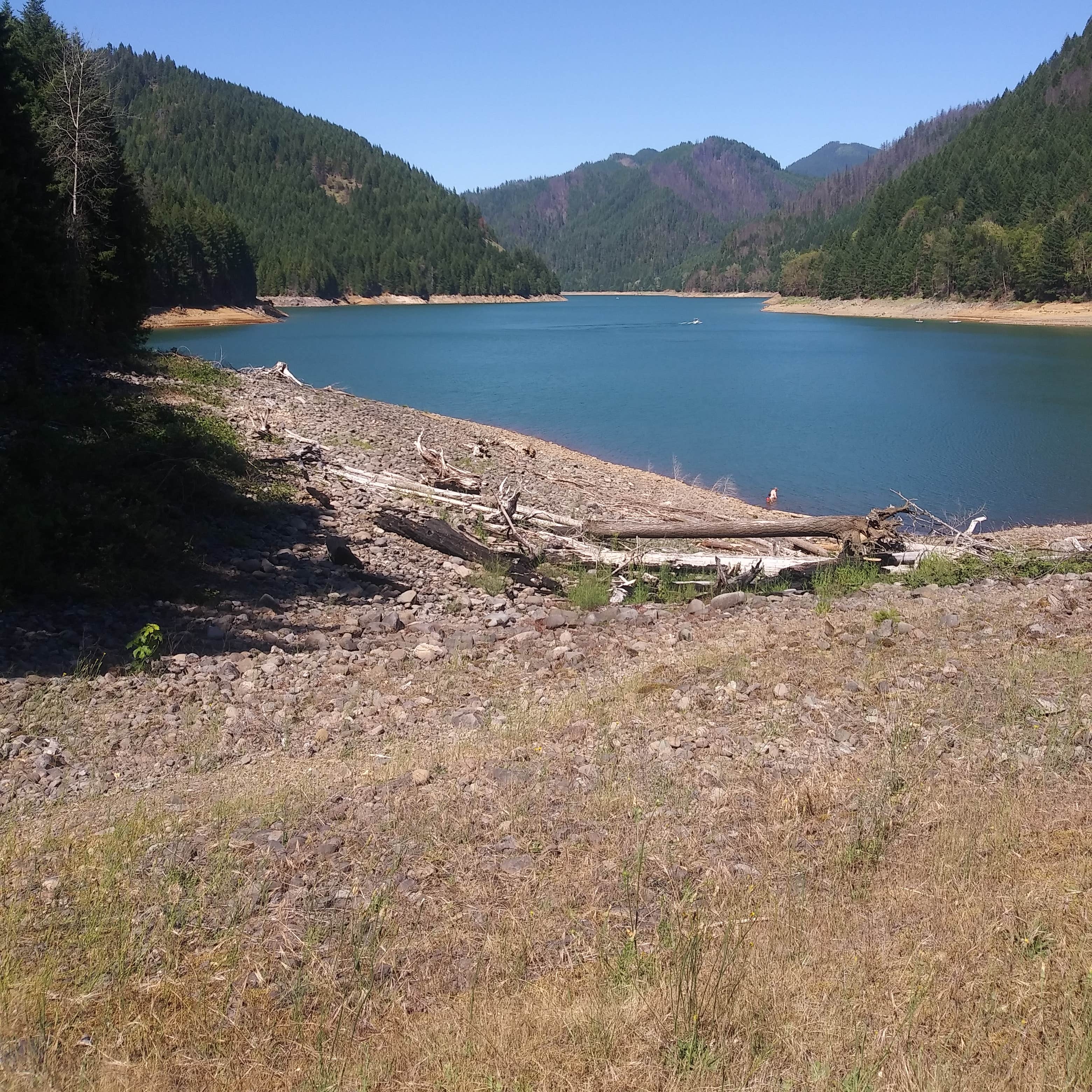 Blue River Reservoir Roadside Camping | Blue River, OR