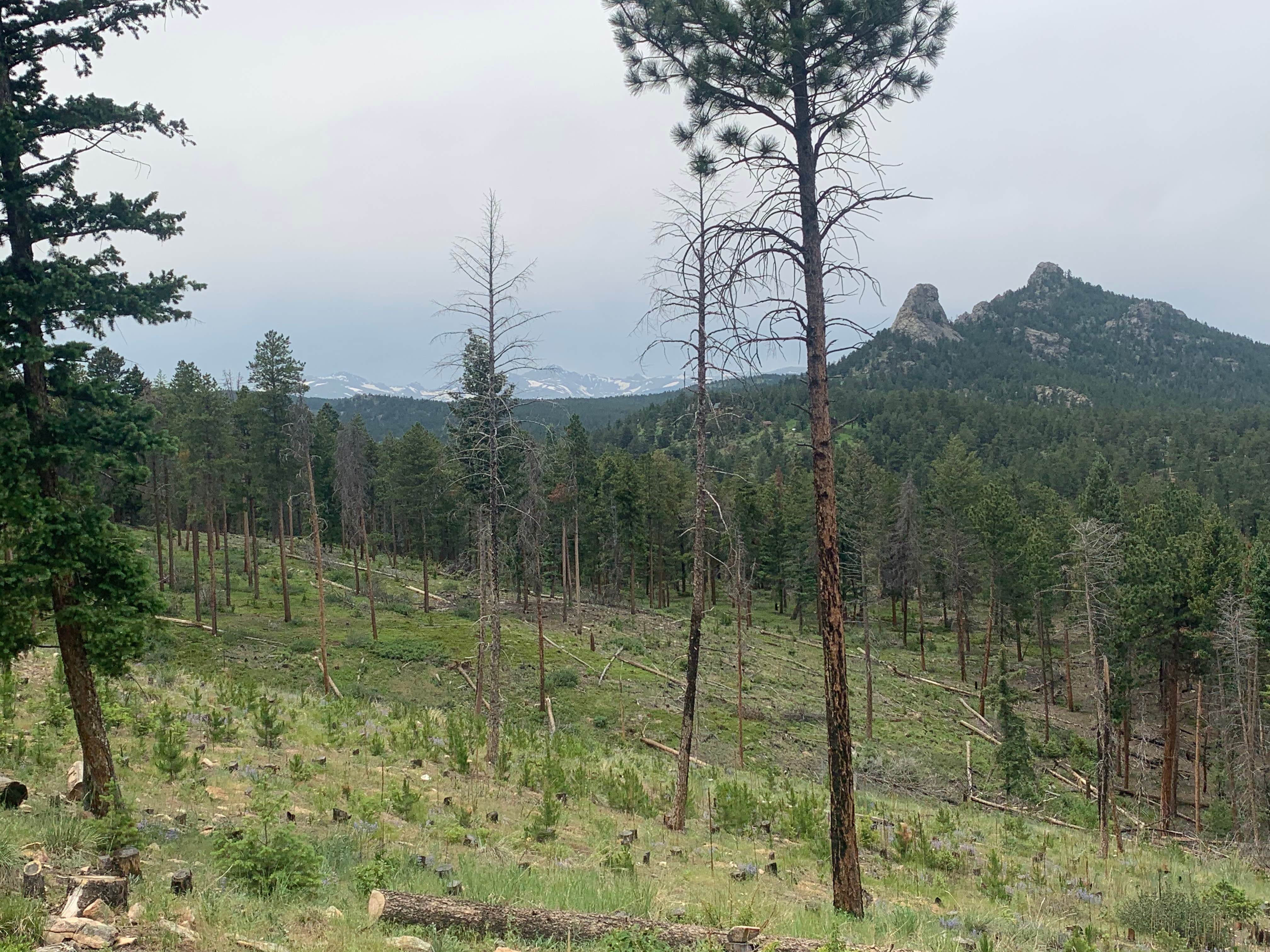 Reverend's Ridge Campground | The Dyrt