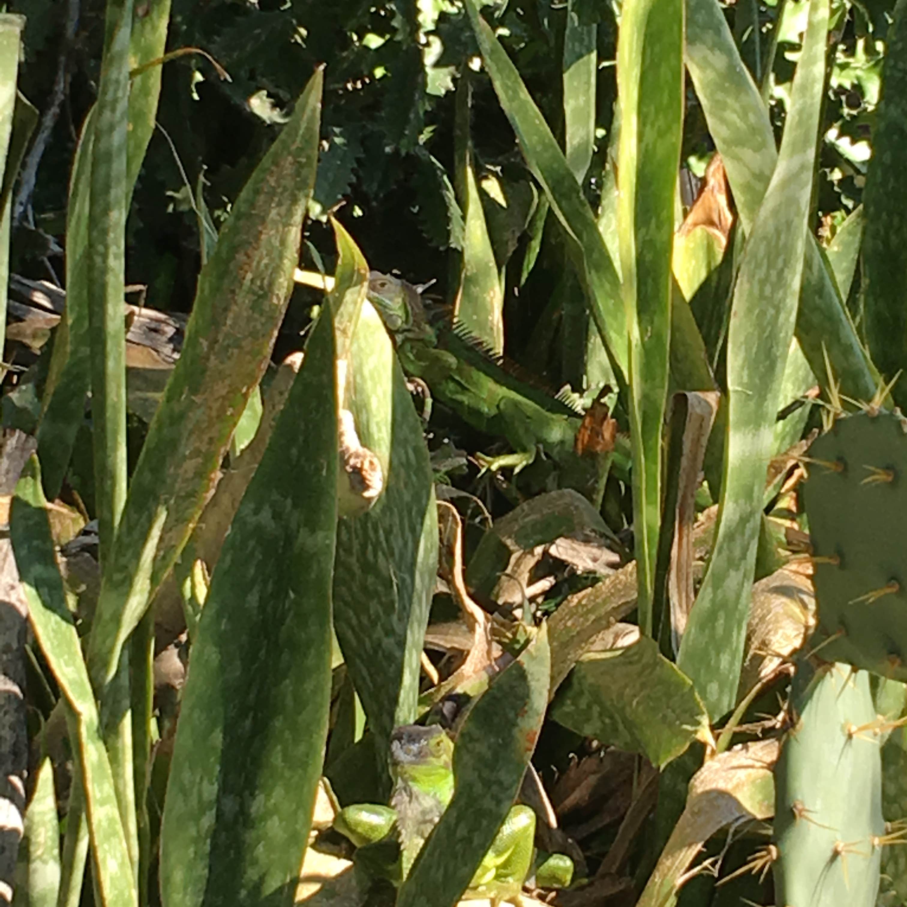 Sigsbee Military RV Park Camping | The Dyrt