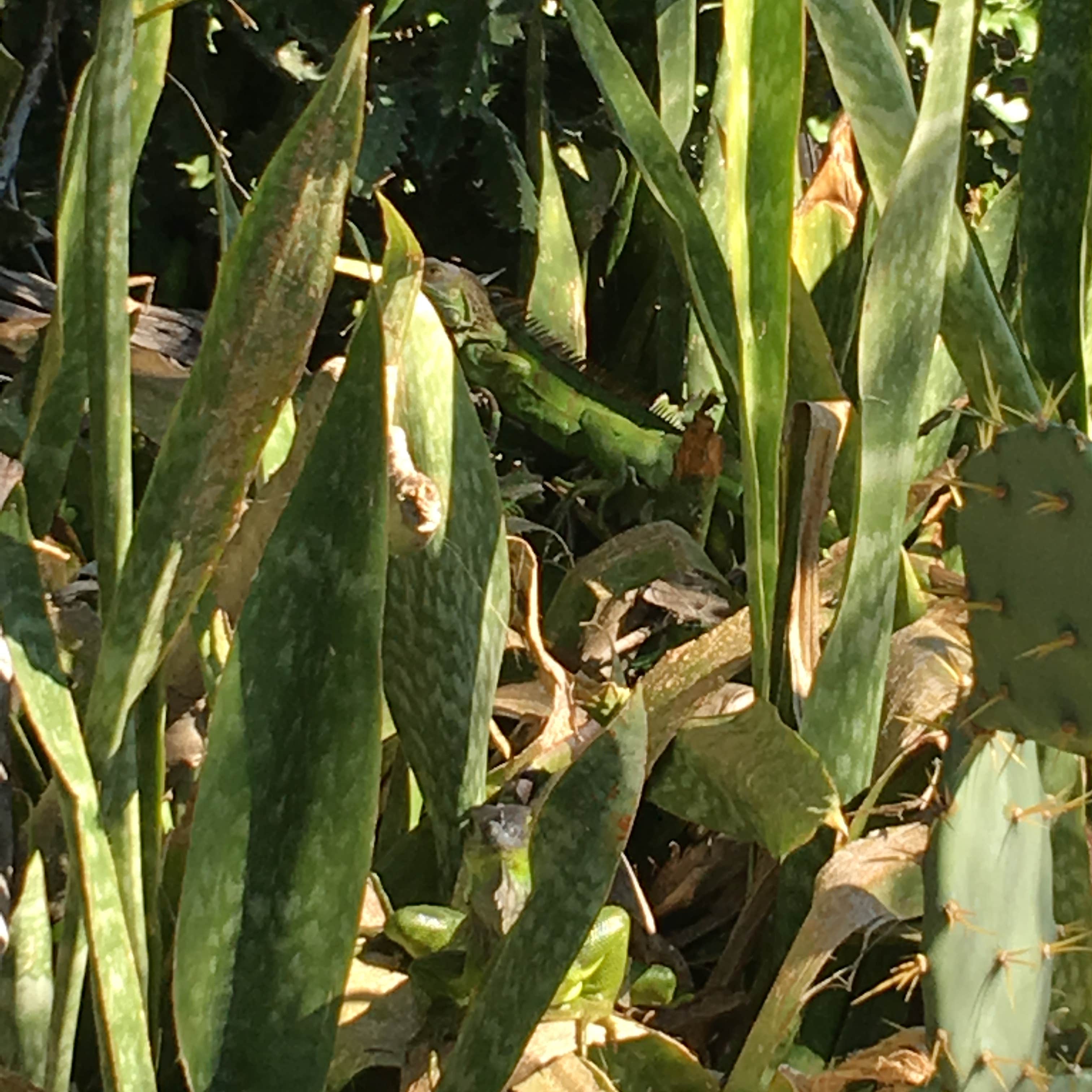 Sigsbee RV Park Camping | The Dyrt