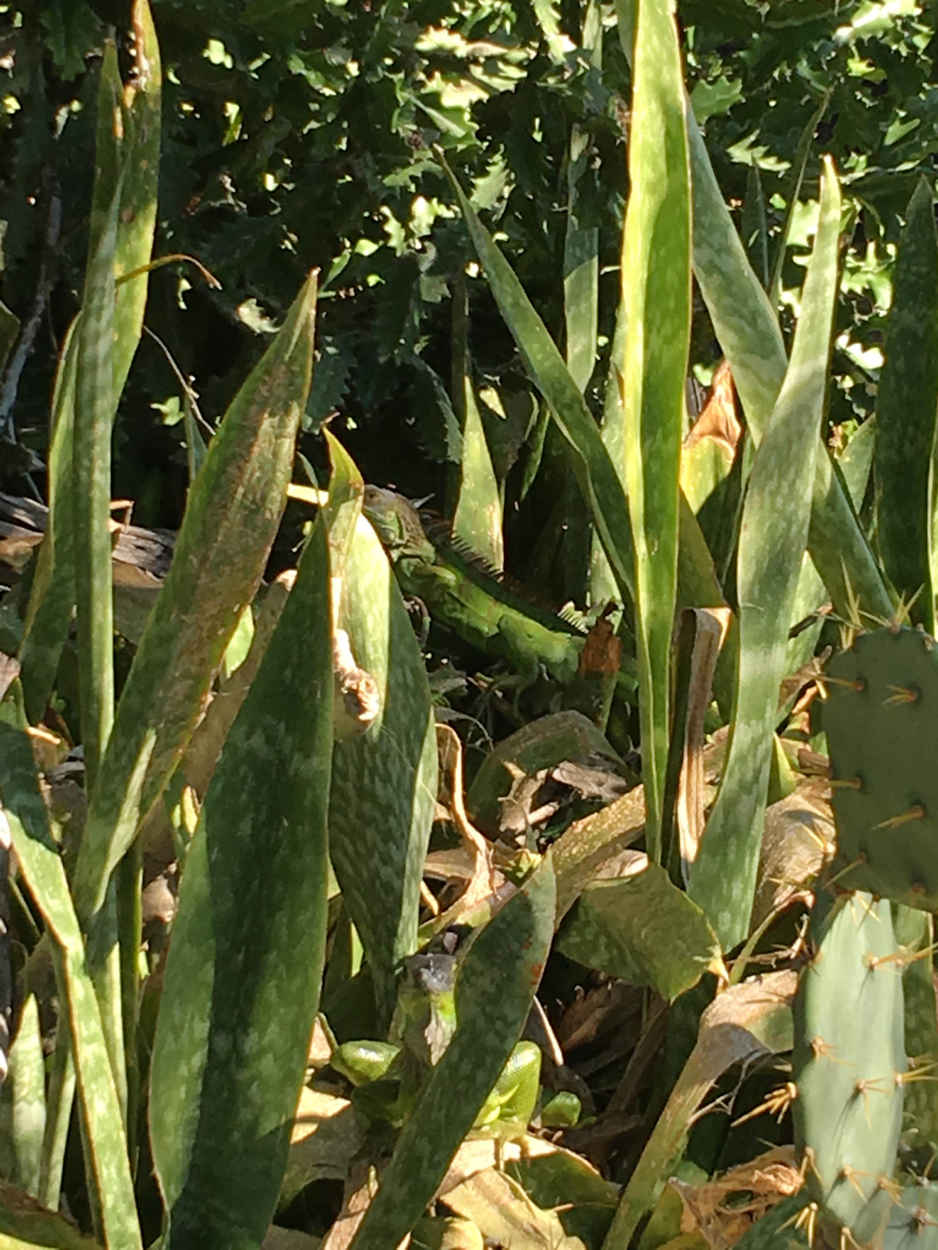 Sigsbee Military RV Park | Key West, FL