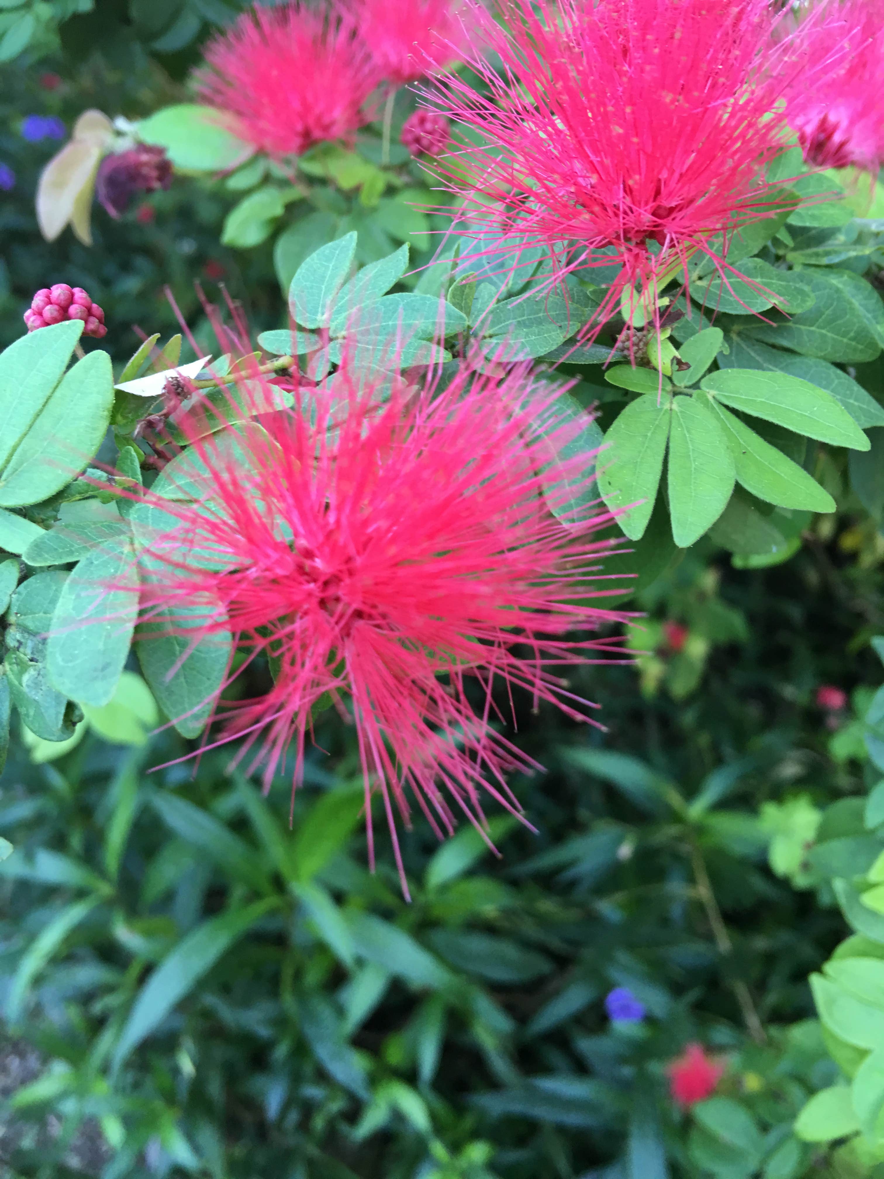 Sigsbee RV Park | The Dyrt