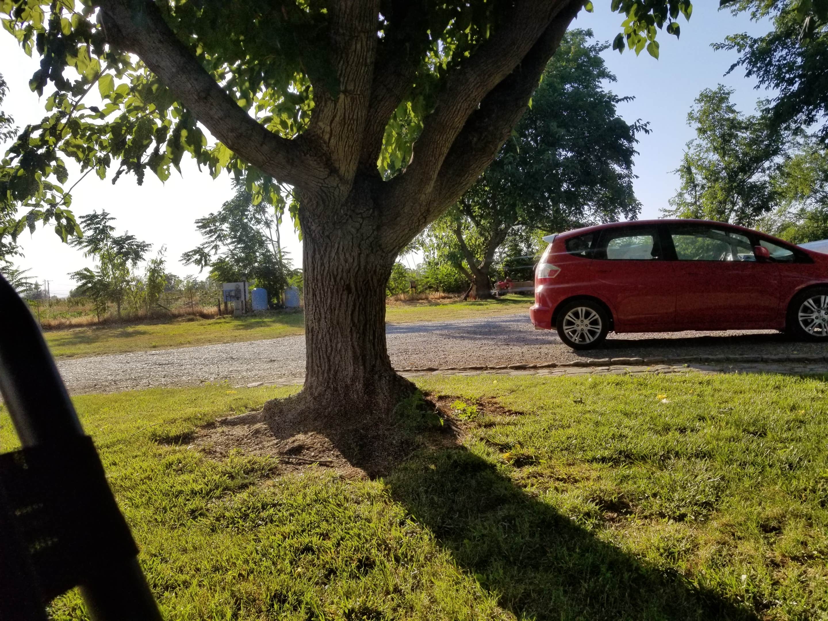 Parkway RV Resort & Campground | Orland, CA