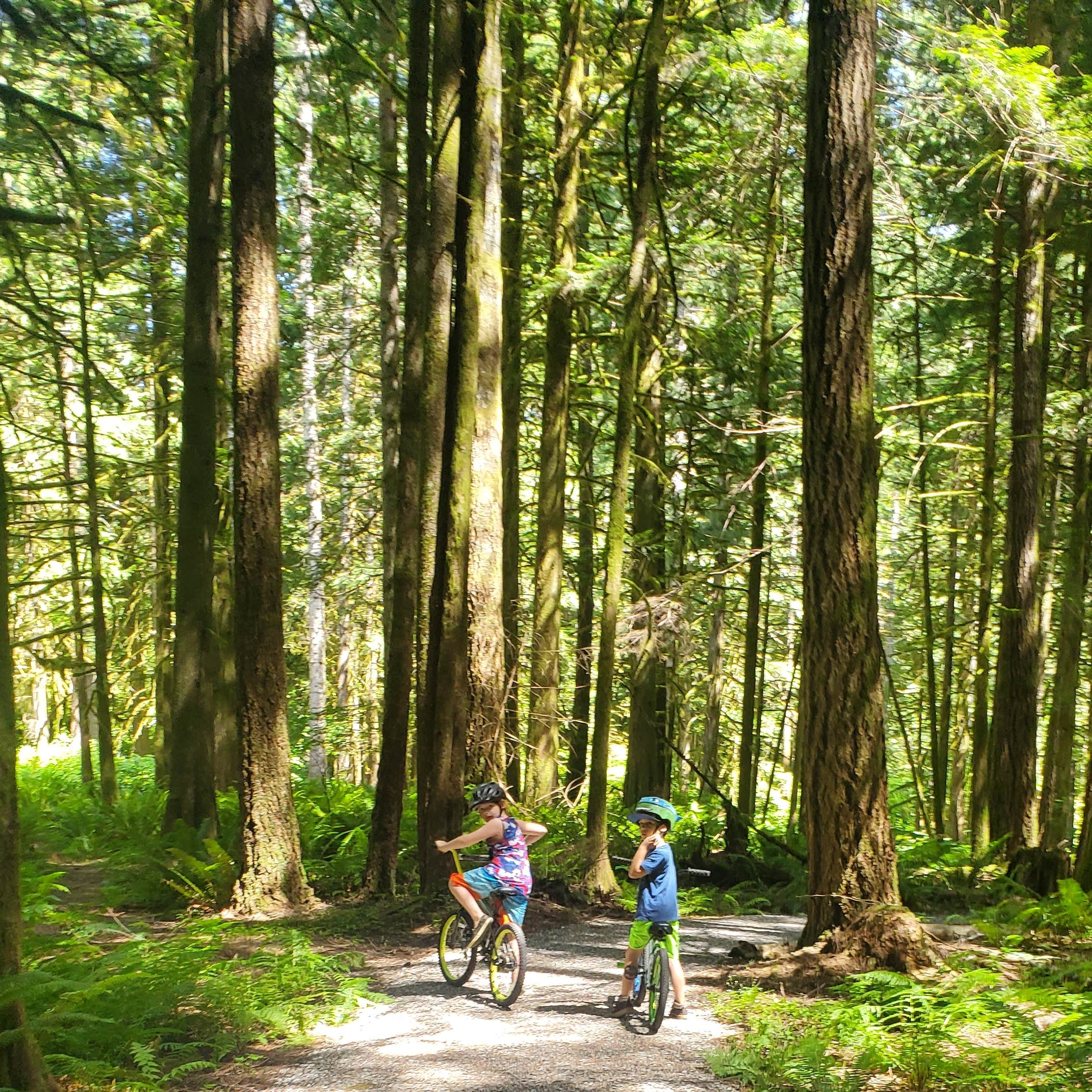 Silver Lake Park Camping | Maple Falls, Washington