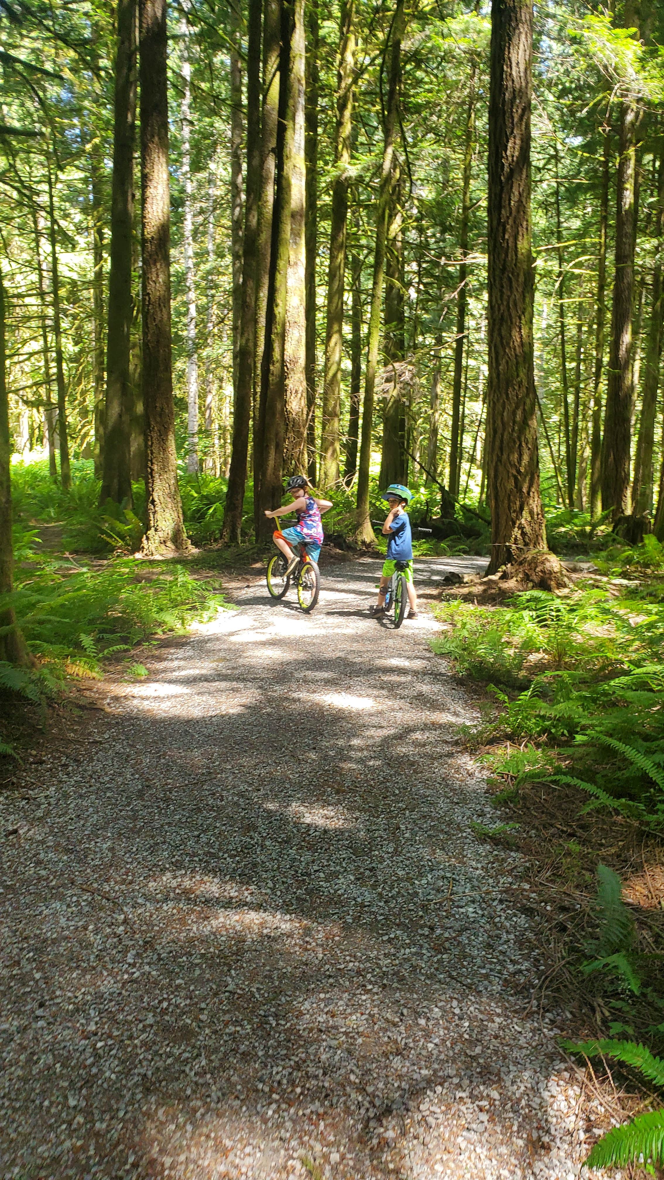 Silver Lake Park Camping | Maple Falls, Washington