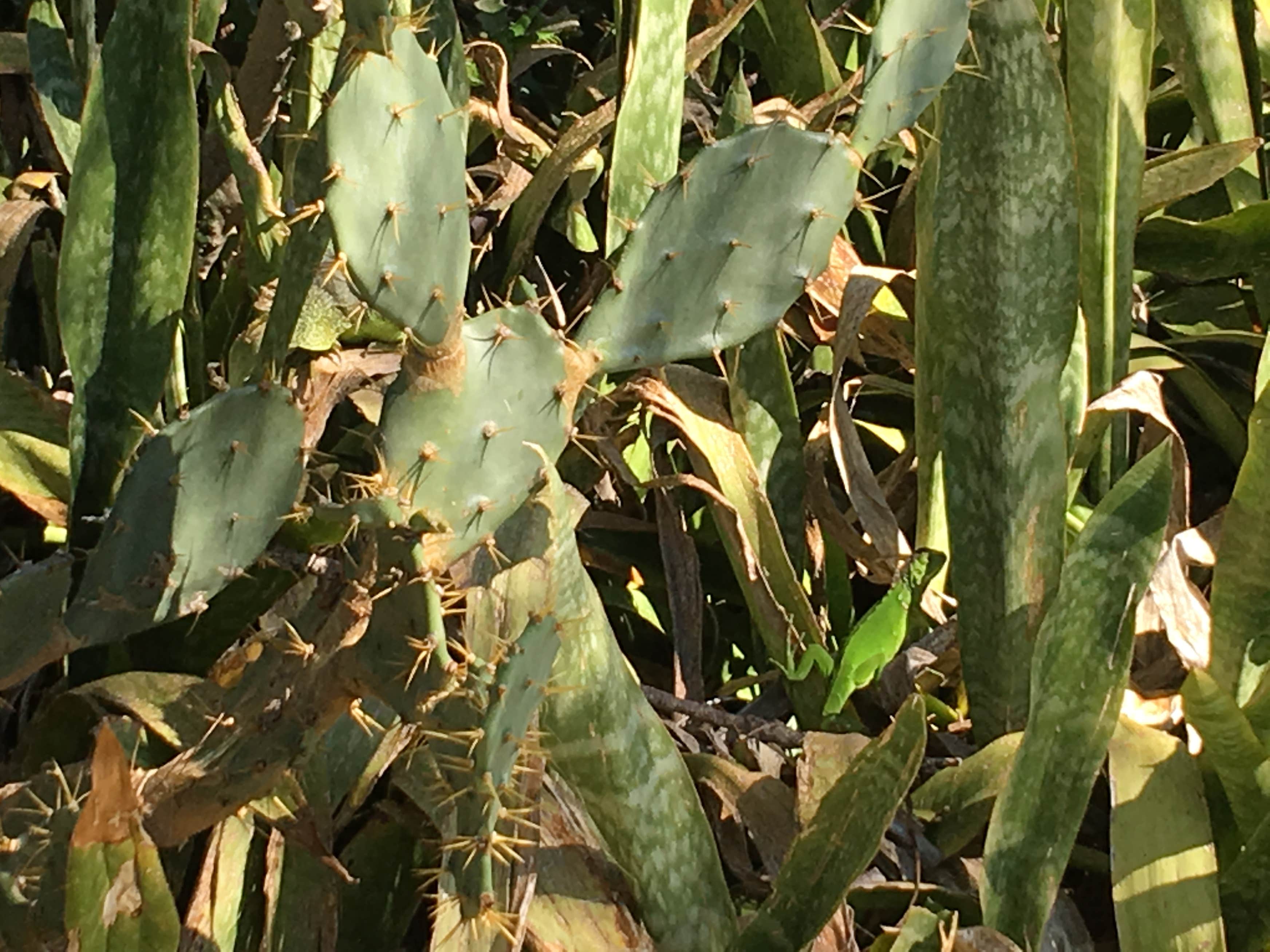 Sigsbee RV Park Camping | The Dyrt