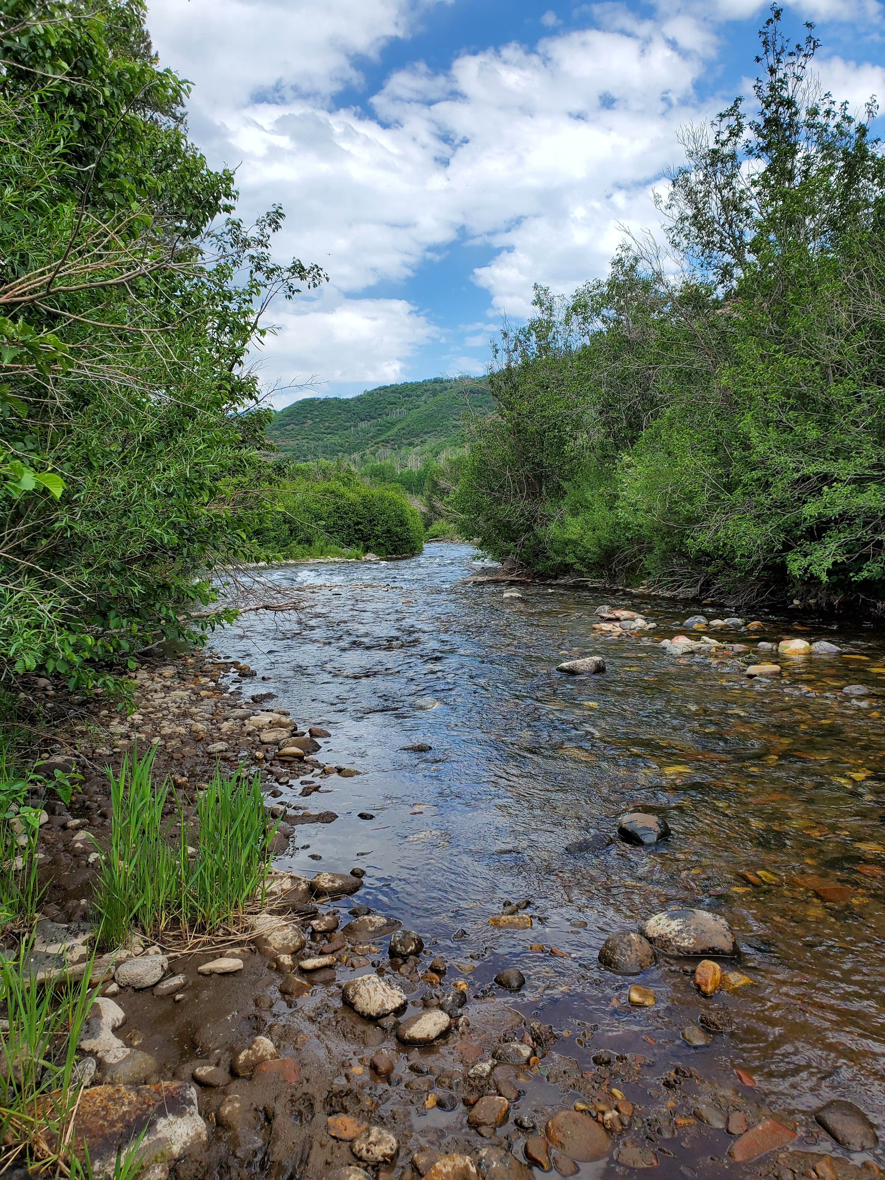 Marvine Campground | The Dyrt