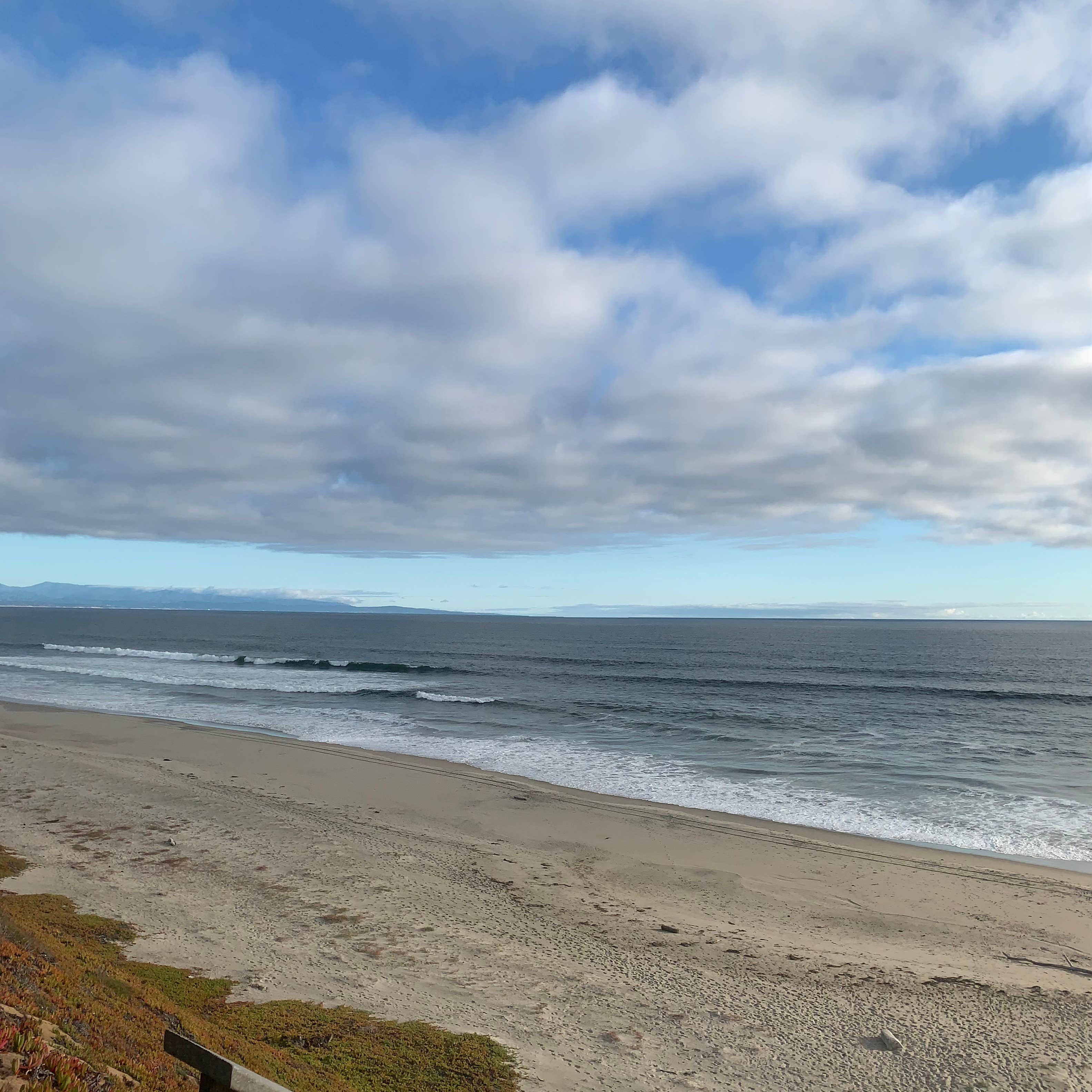 Sunset State Beach Camping | Watsonville, CA