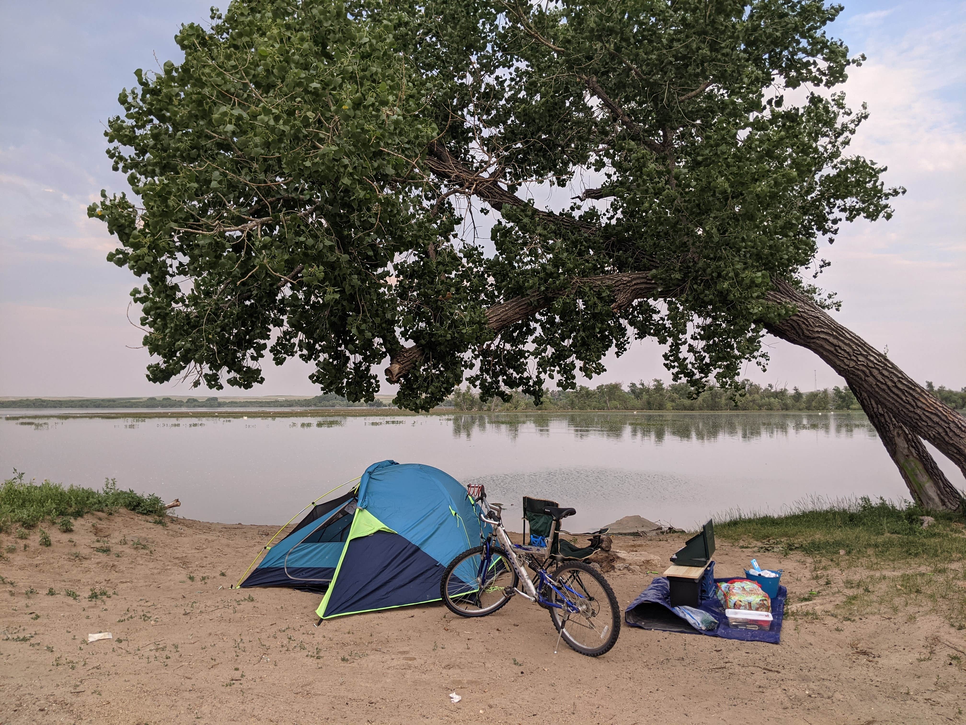 Prewitt Reservoir State Wildlife Area | The Dyrt