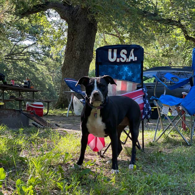 Jester County Park Camping | Granger, Iowa