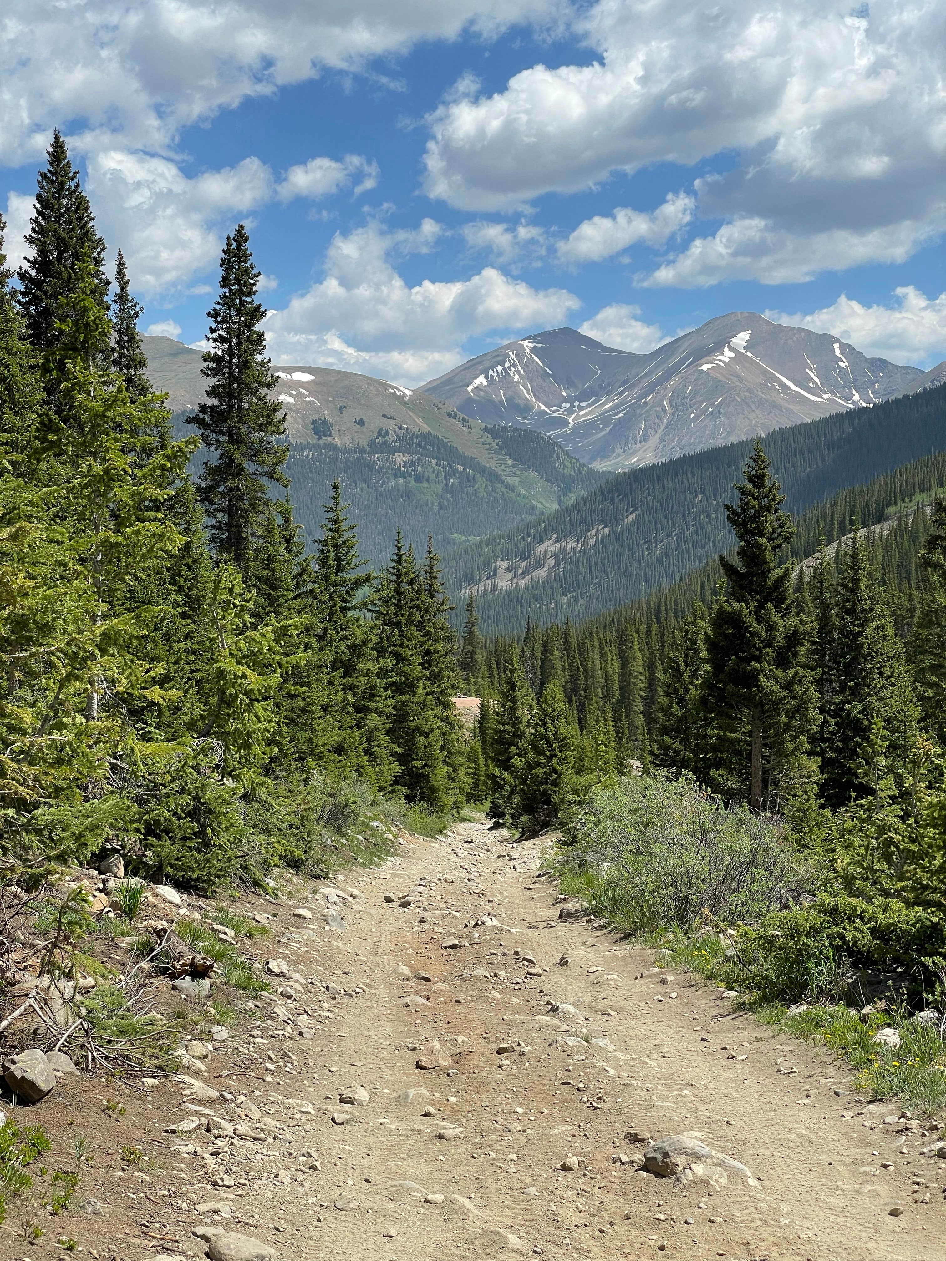 Saints John Trail Roadside Campsites | Montezuma, CO