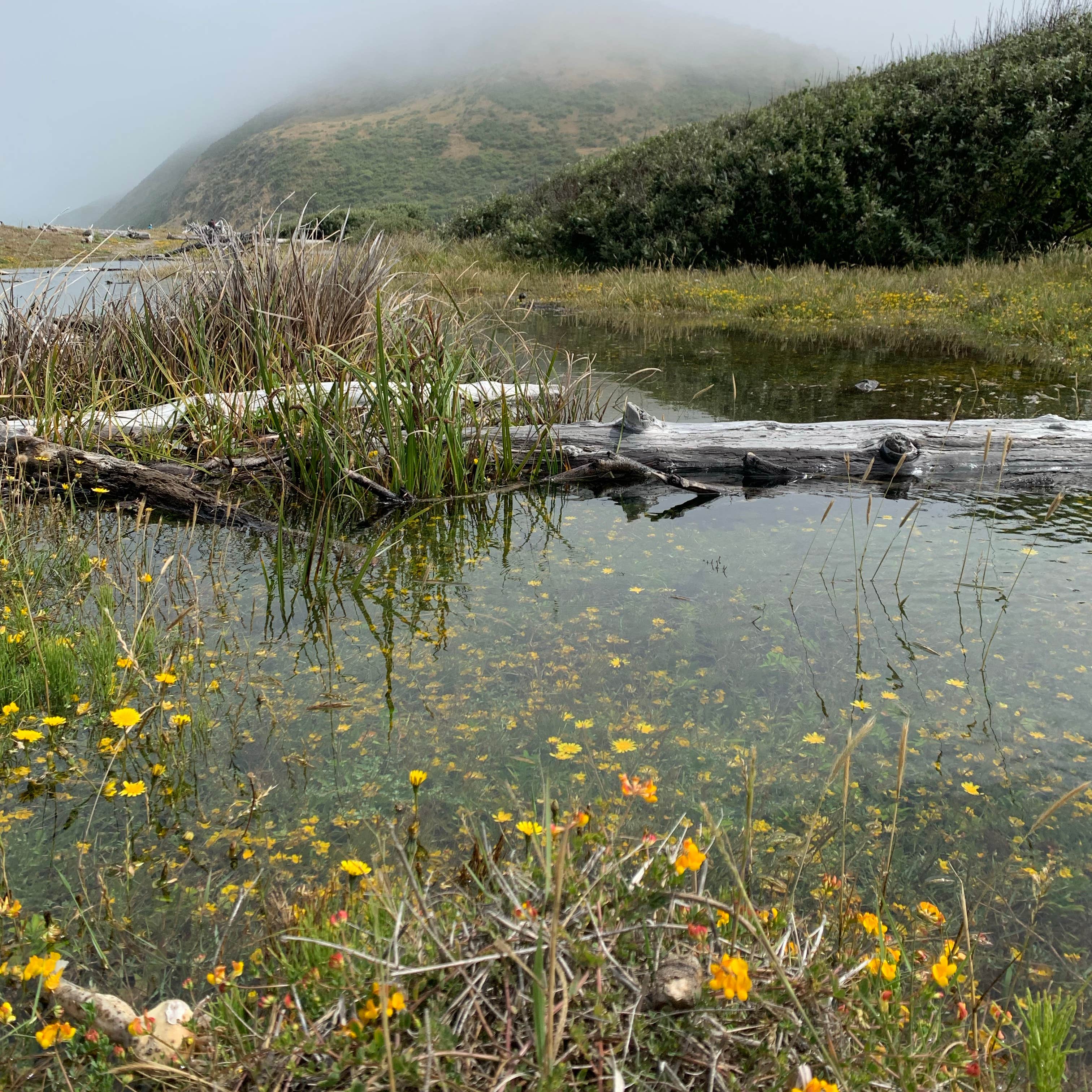 Mattole Campground | Arcata, CA