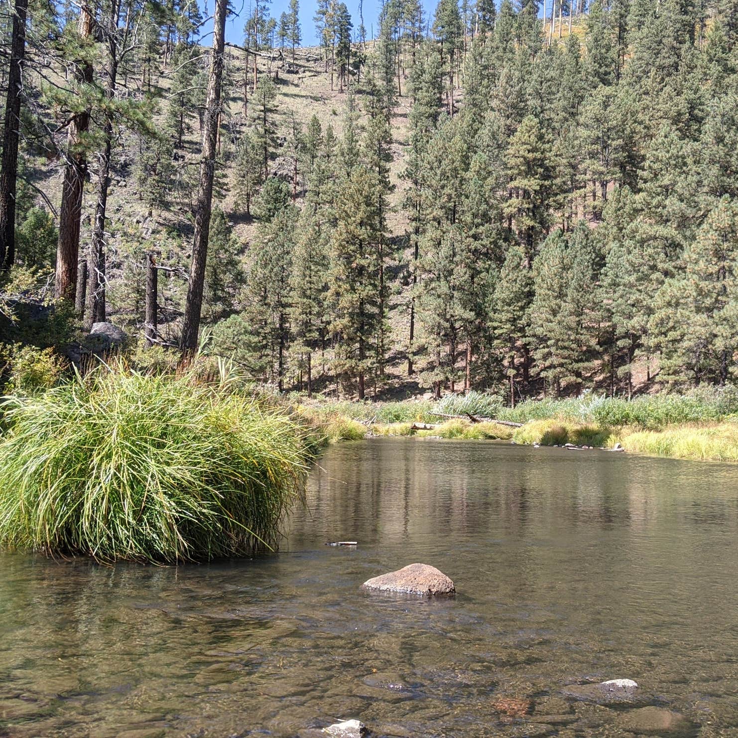 Rainbow (AZ) Camping | Greer, AZ