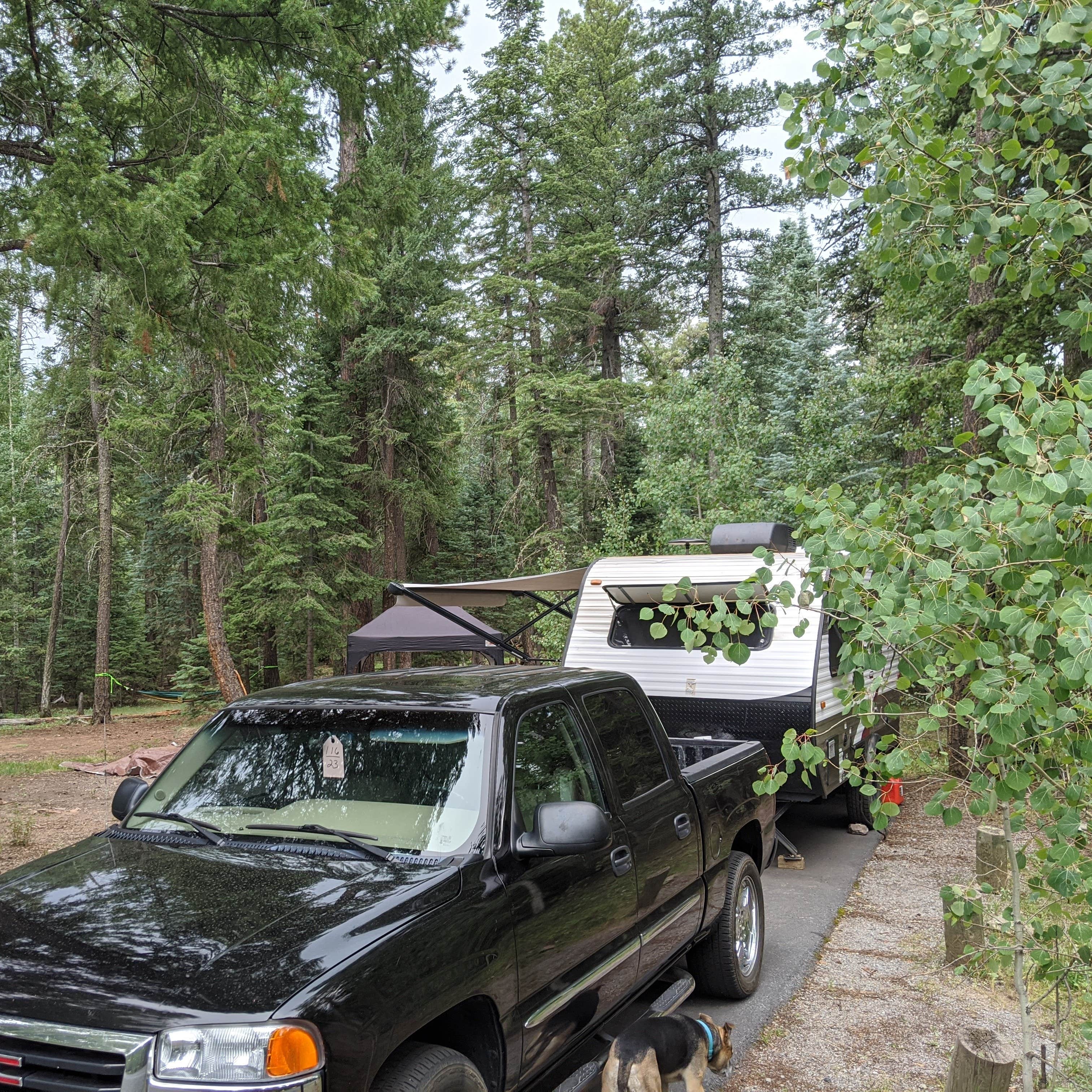 Rainbow (AZ) Camping | Greer, AZ
