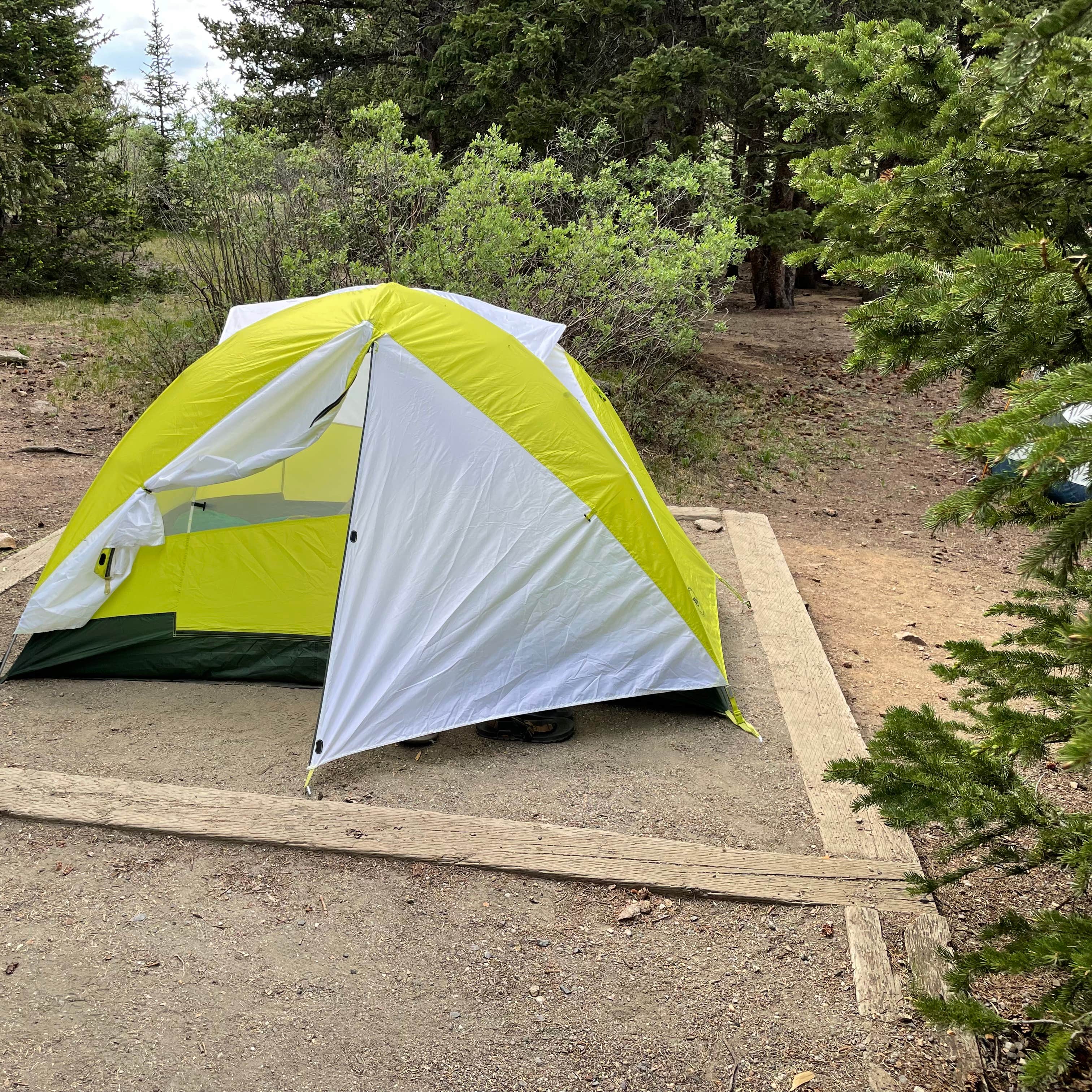 Echo Lake Campground | Evergreen, CO