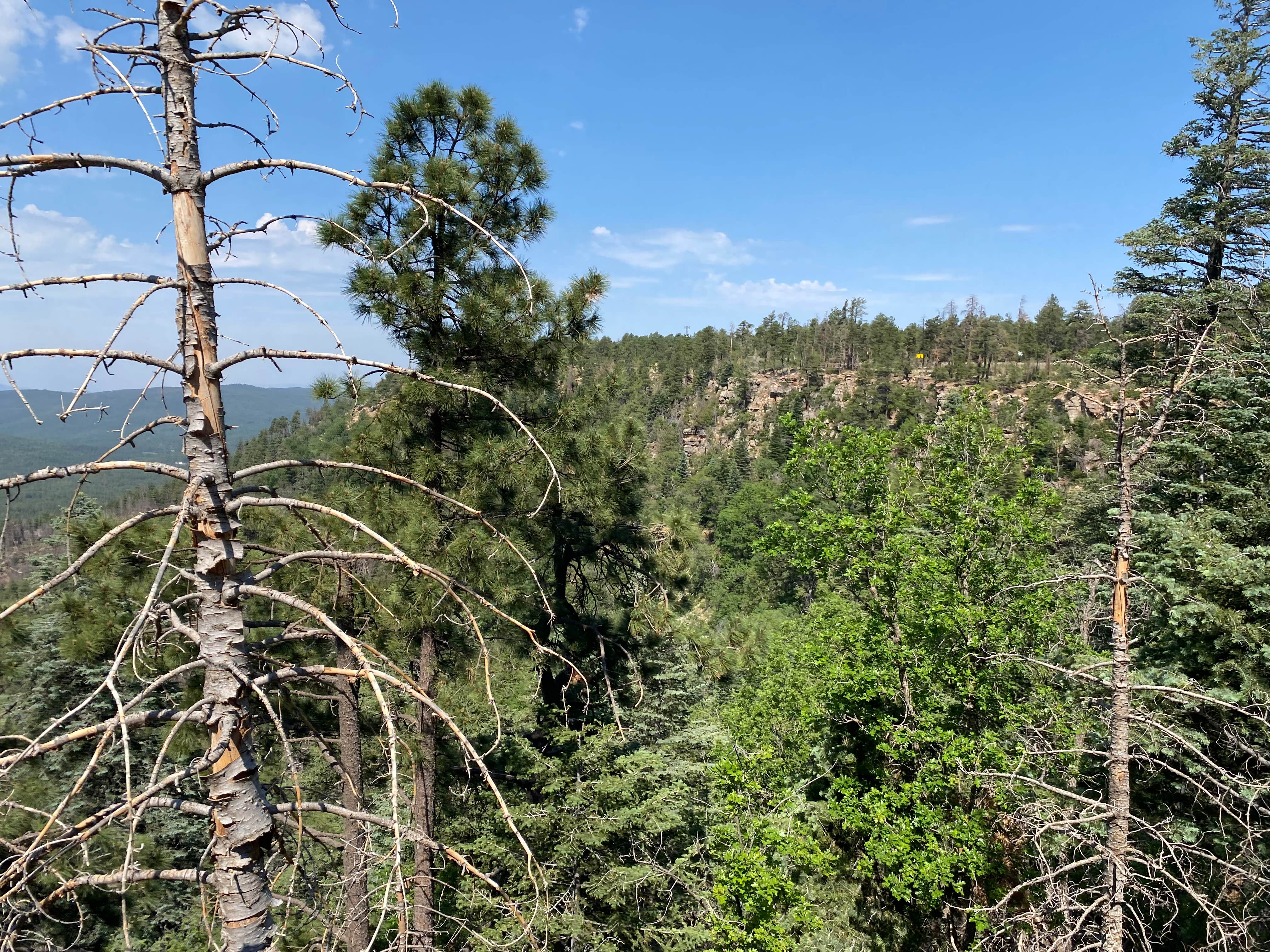 Christopher Creek | The Dyrt