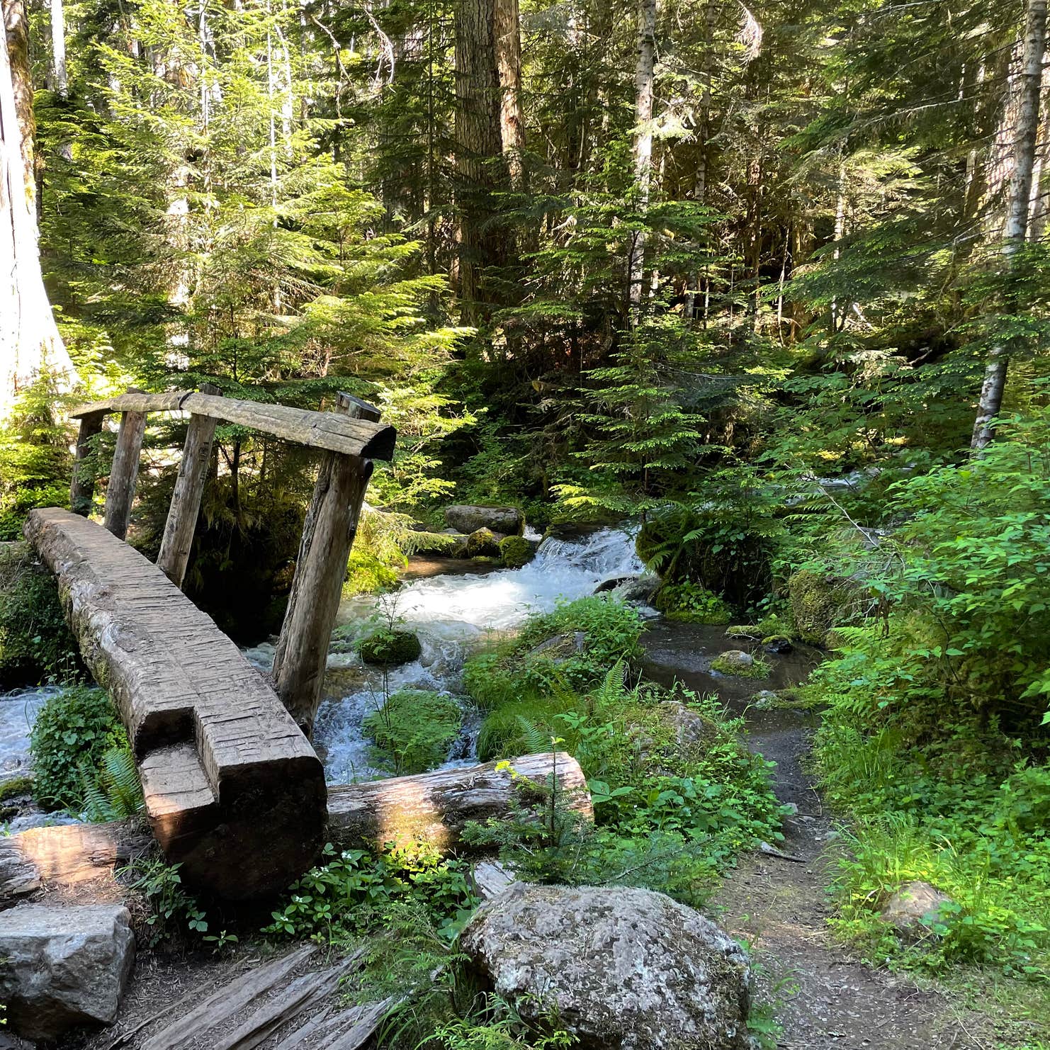 Lake Angeles — Olympic National Park Camping | Port Angeles, Washington