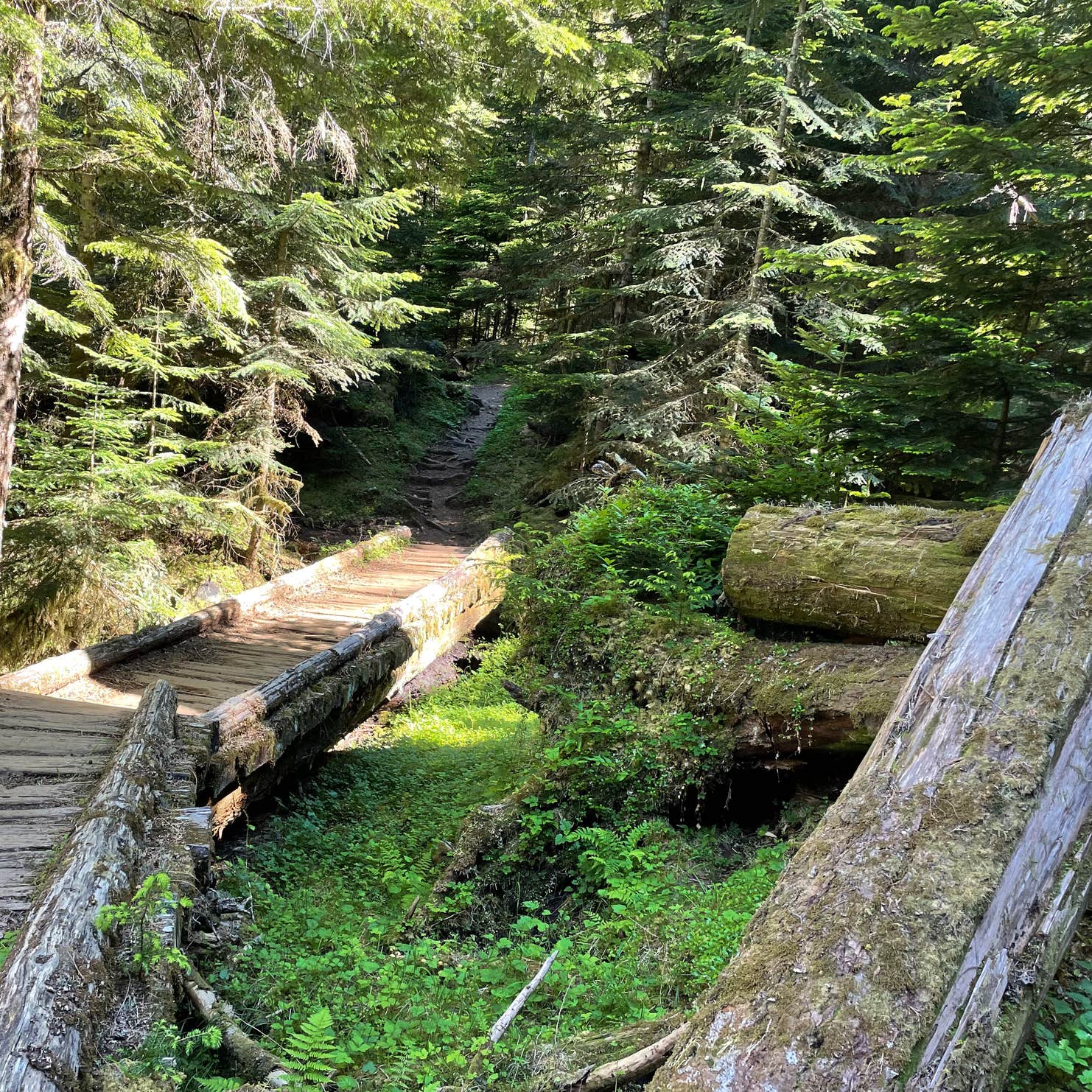 Lake Angeles — Olympic National Park Camping | Port Angeles, WA