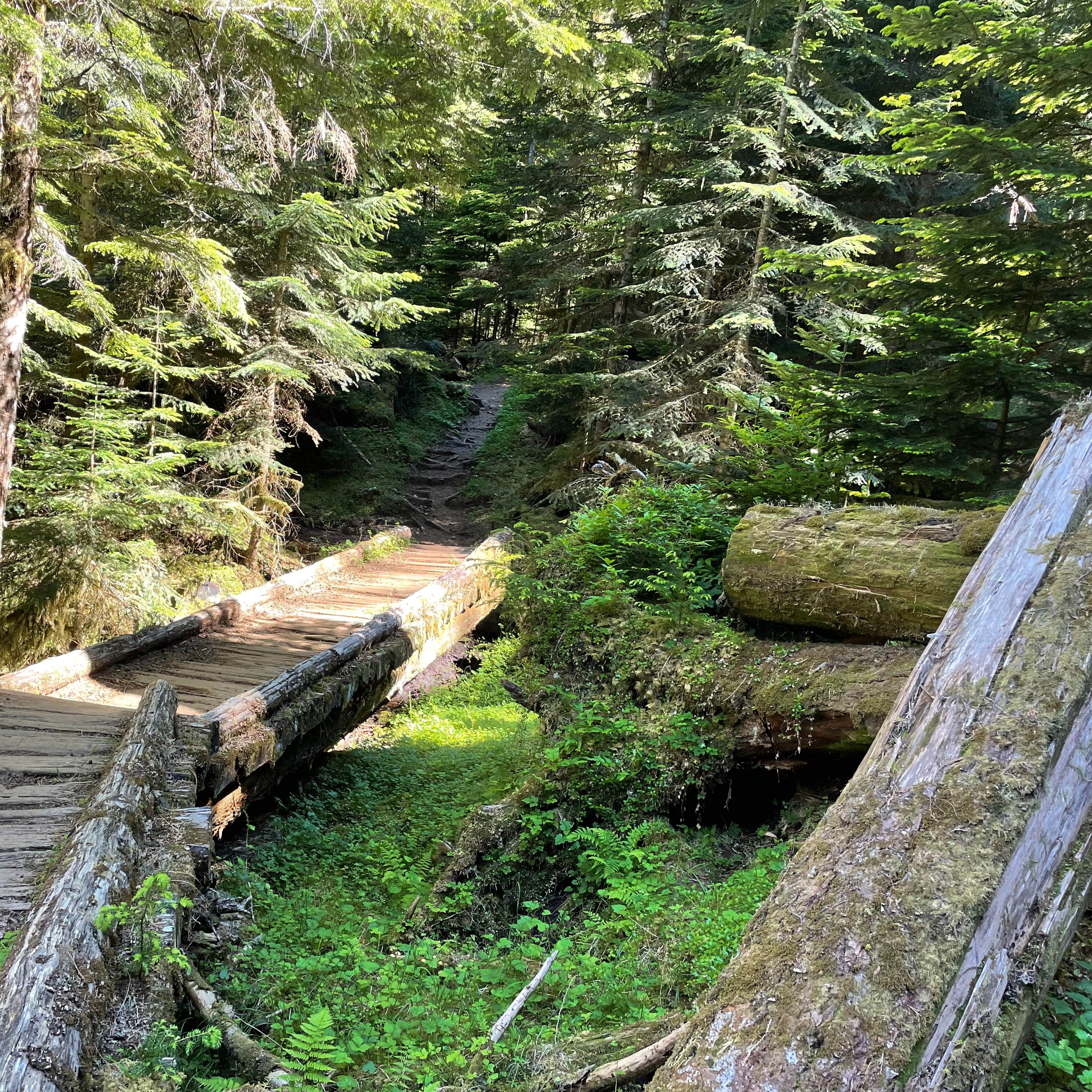 Lake Angeles — Olympic National Park Camping | Port Angeles, Washington