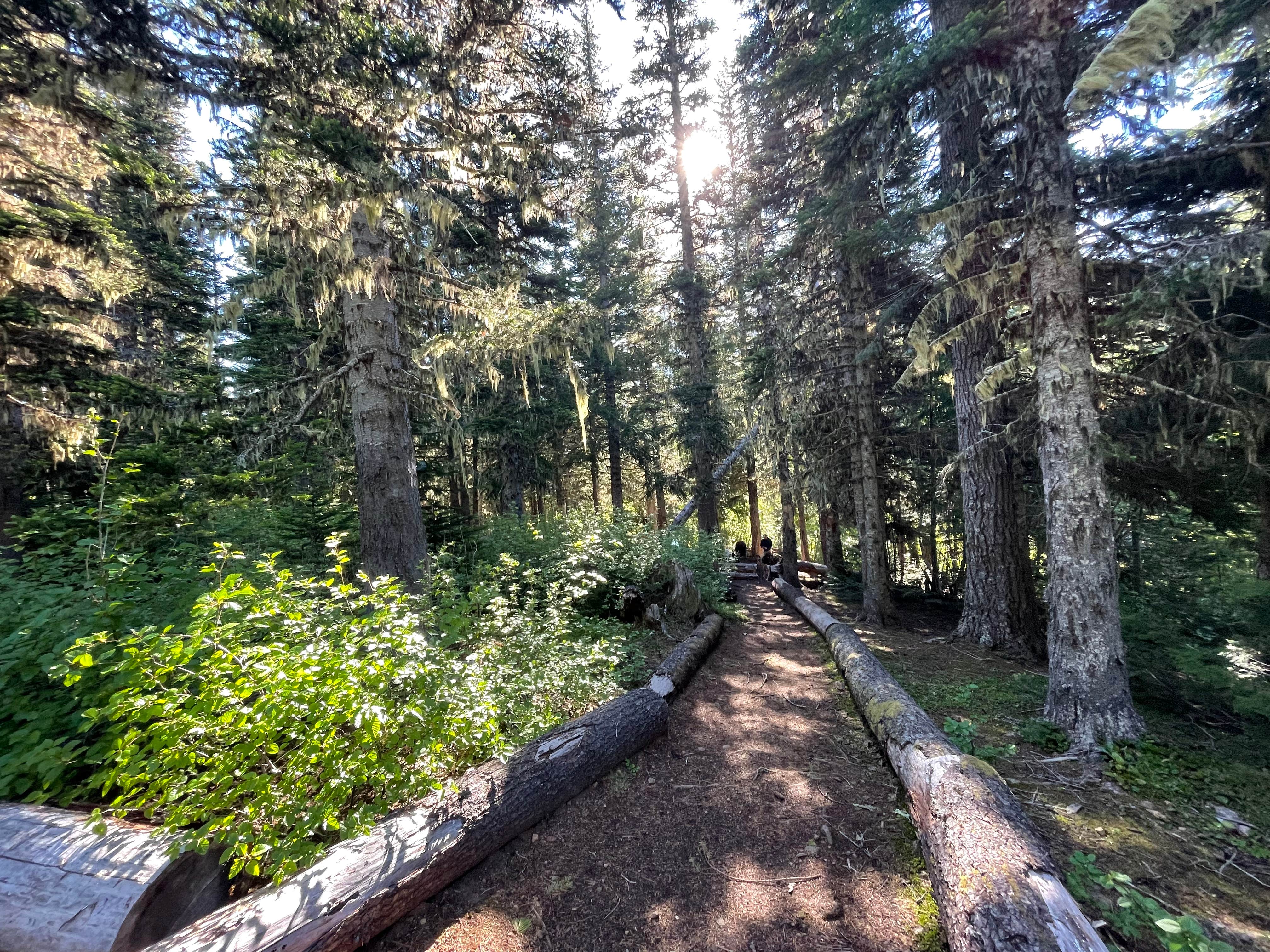 Lake Angeles — Olympic National Park Camping | Port Angeles, Washington