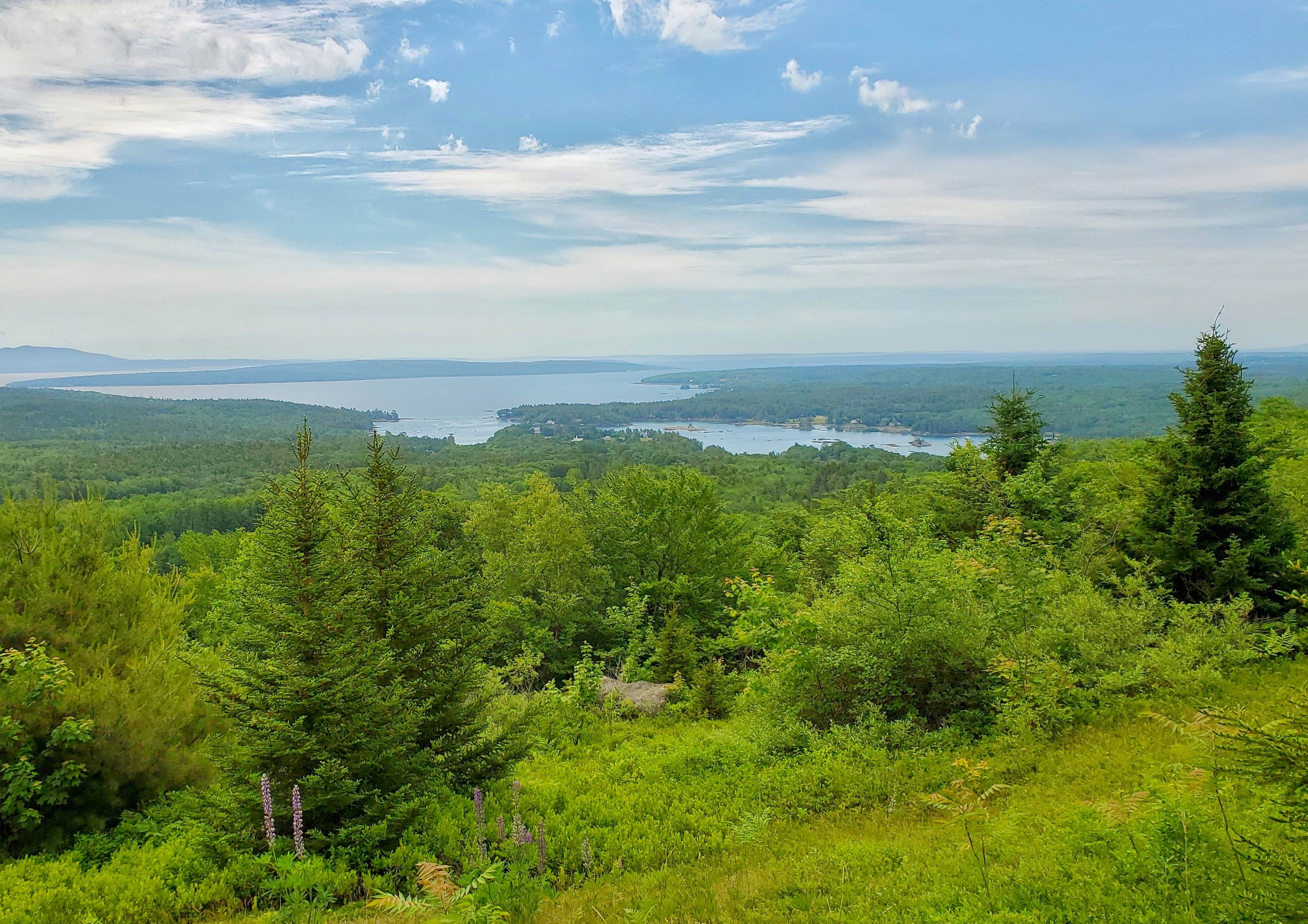 Oceanfront Camping @ Reach Knolls | Sedgwick, Maine