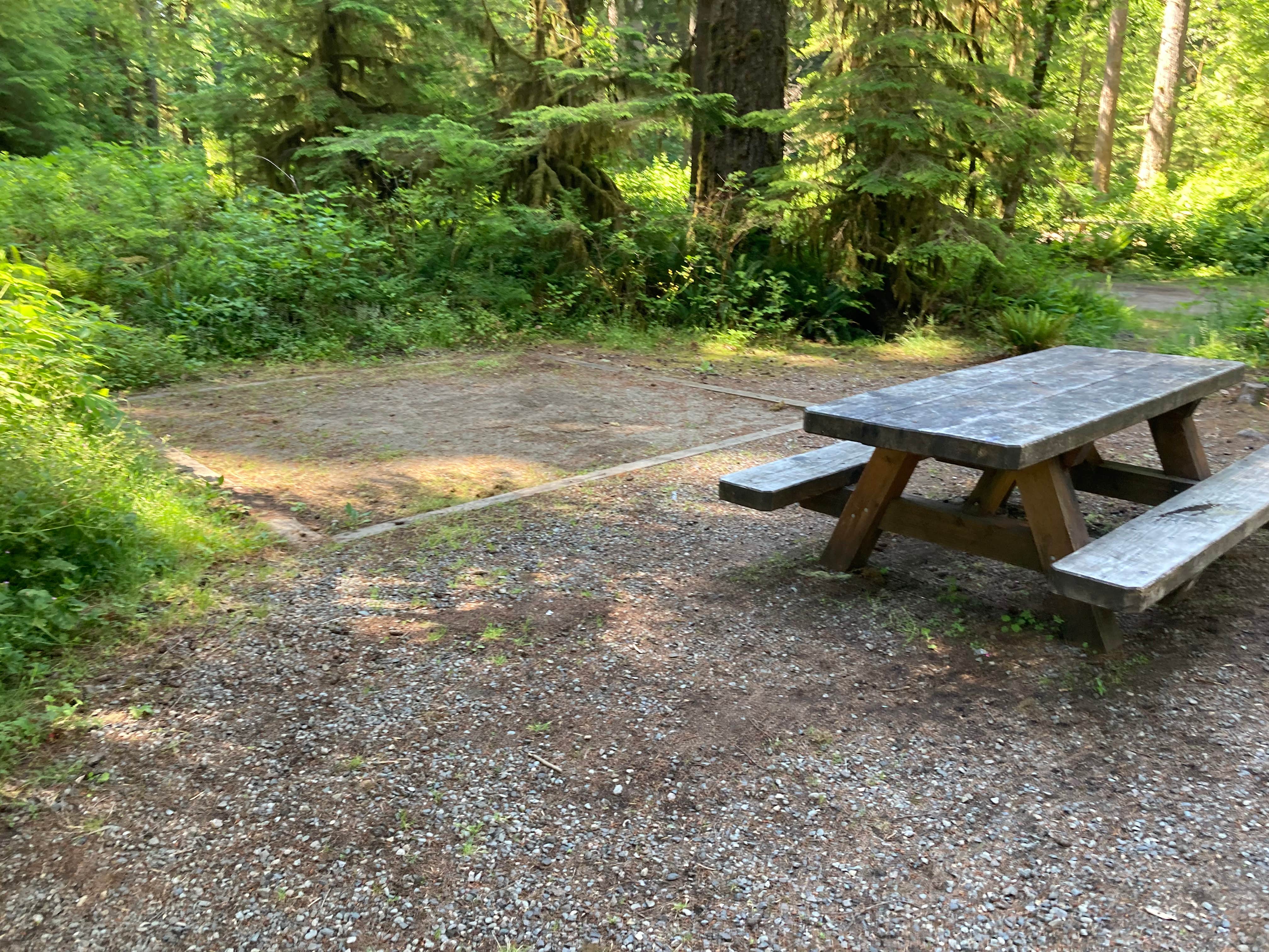 Swift Creek Campground | Concrete, Washington