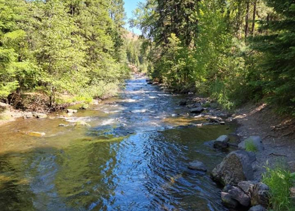 Tucannon Campground Camping | The Dyrt