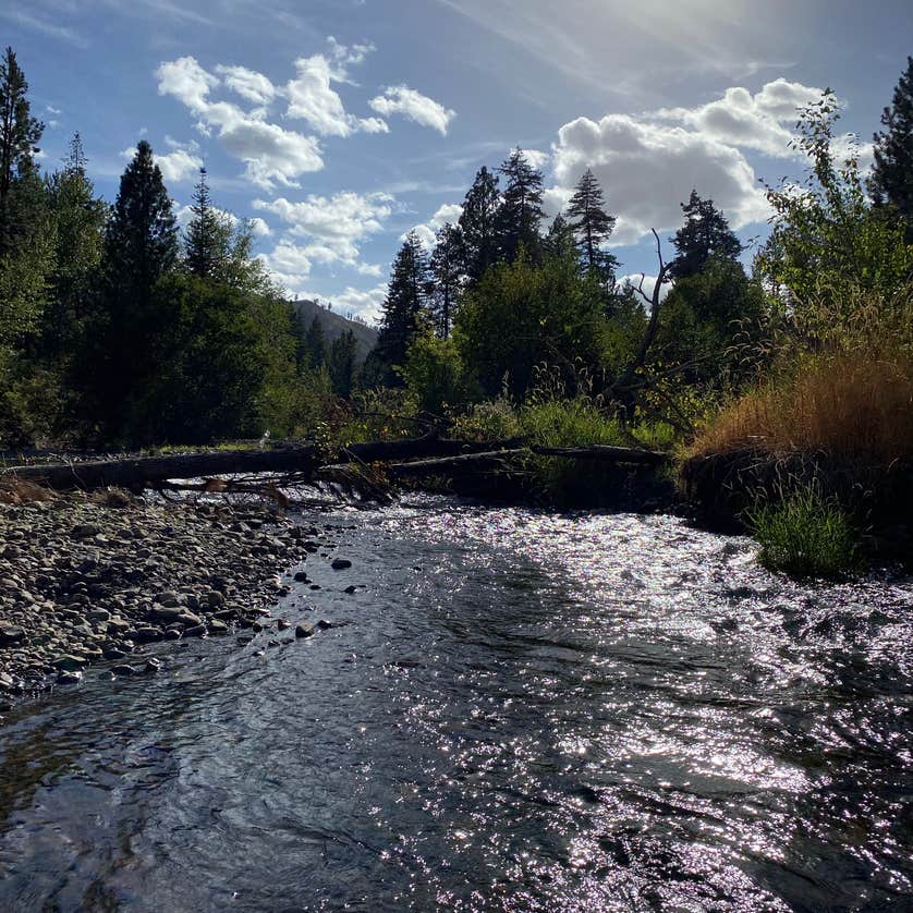 Tucannon Campground Camping | The Dyrt