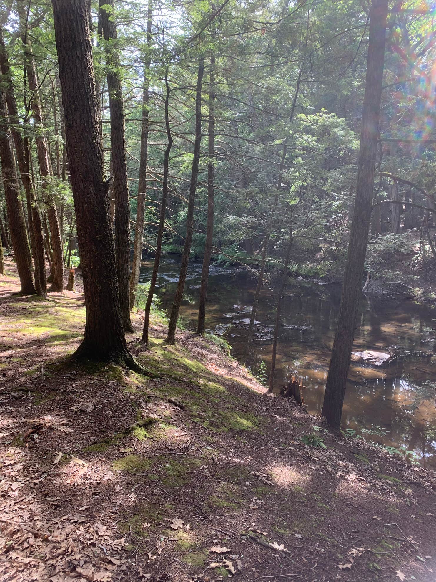 Rip Van Winkle Campgrounds | The Dyrt